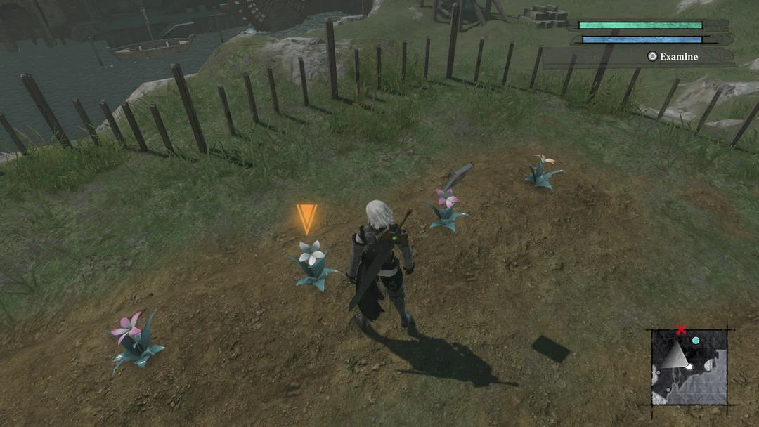 will i get seeds if i leave it? | Scrolller