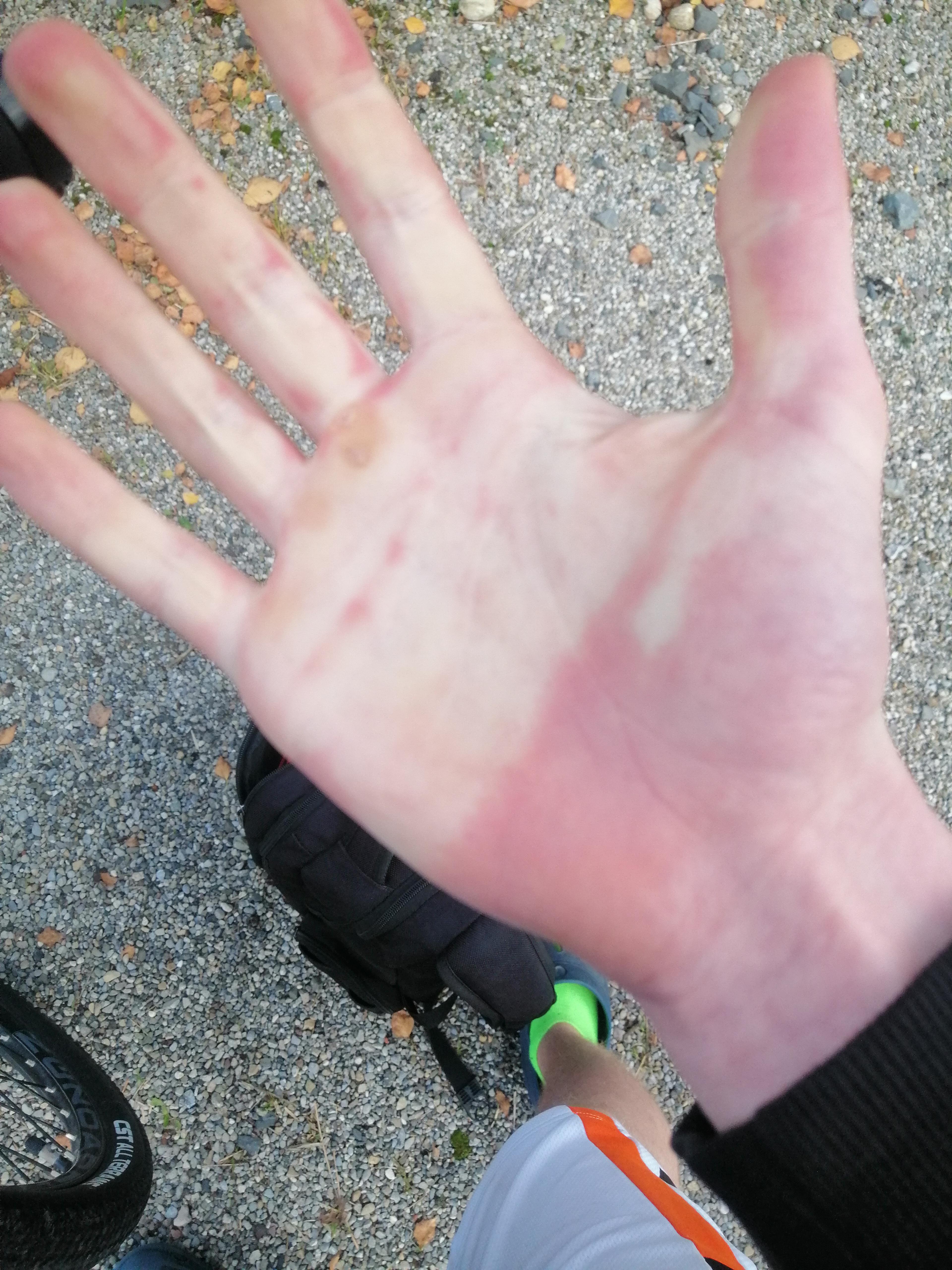 Seeing this while tripping on acid | Scrolller