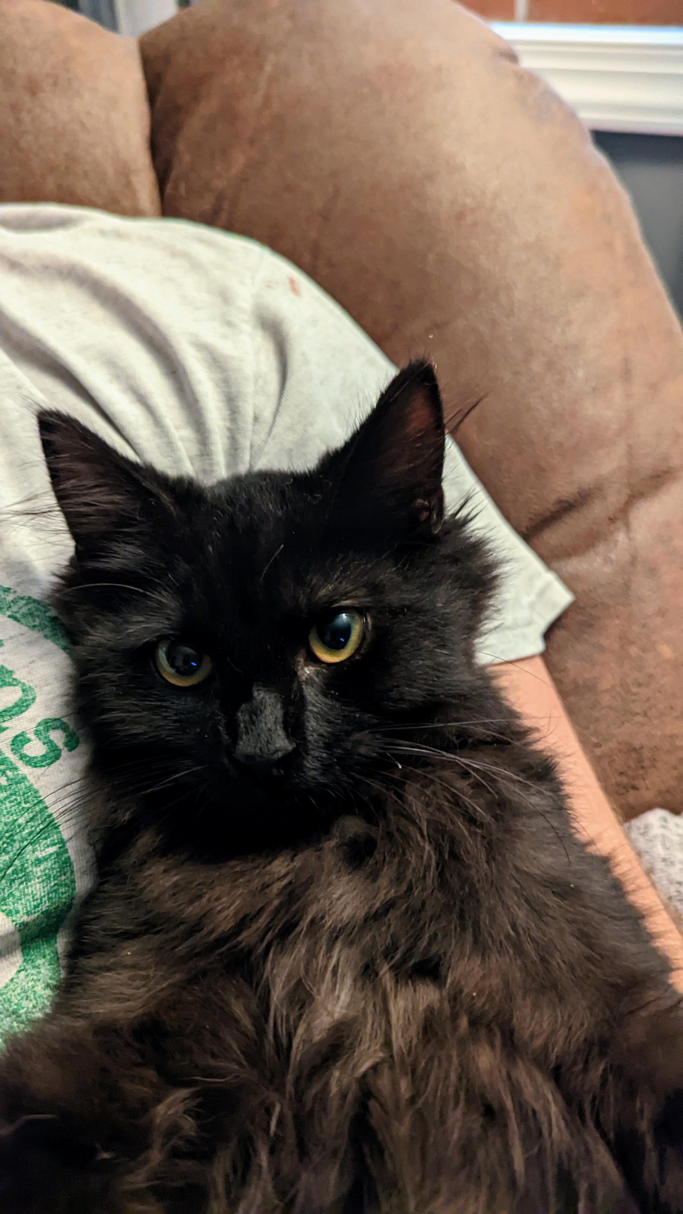 Behold the small void..... Quark!!!! | Scrolller