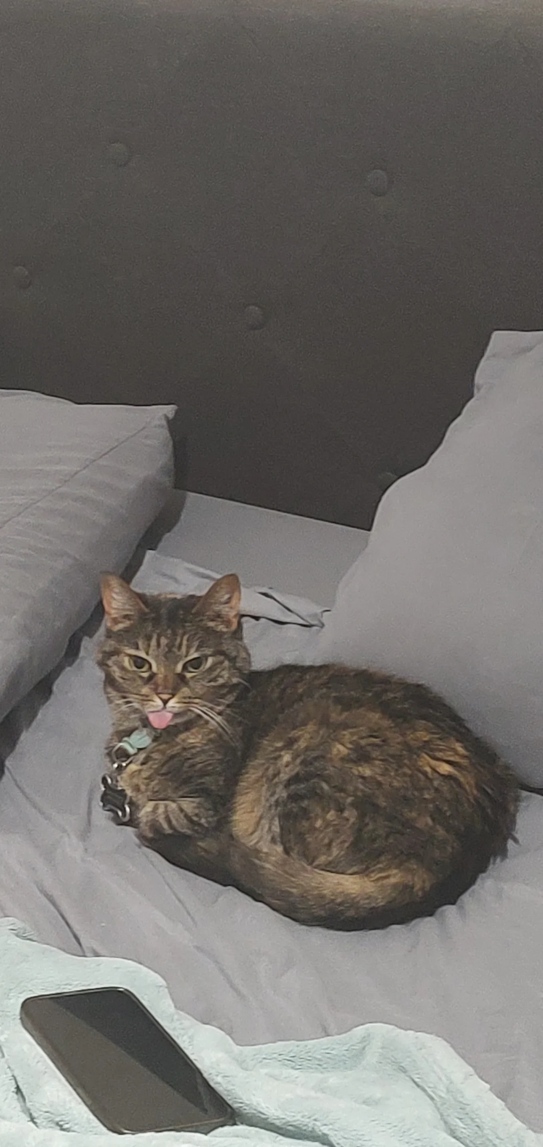 Big chilling | Scrolller