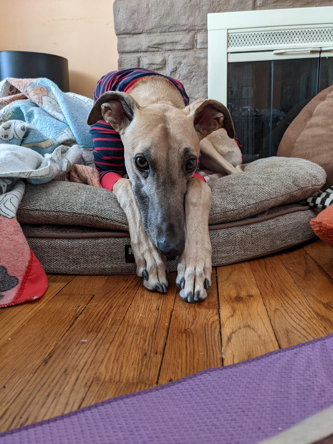 Giles, vertical. | Scrolller