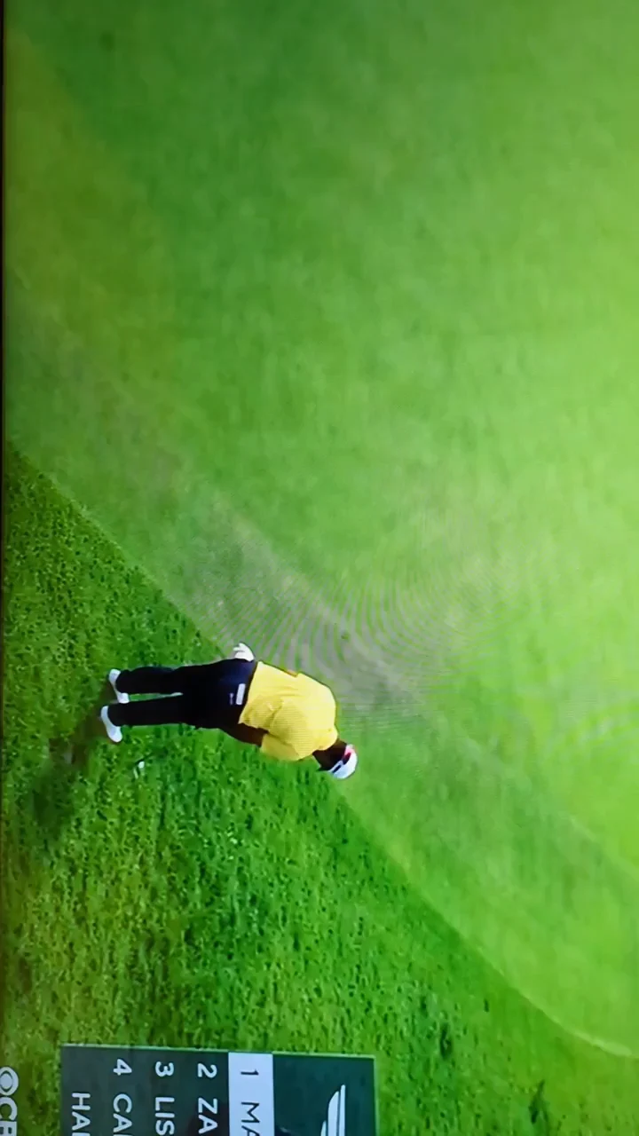 Matsuyama: is this not a penalty? | Scrolller