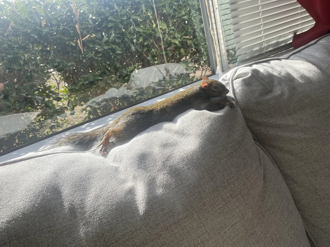 Bubba G catching some rays.. | Scrolller