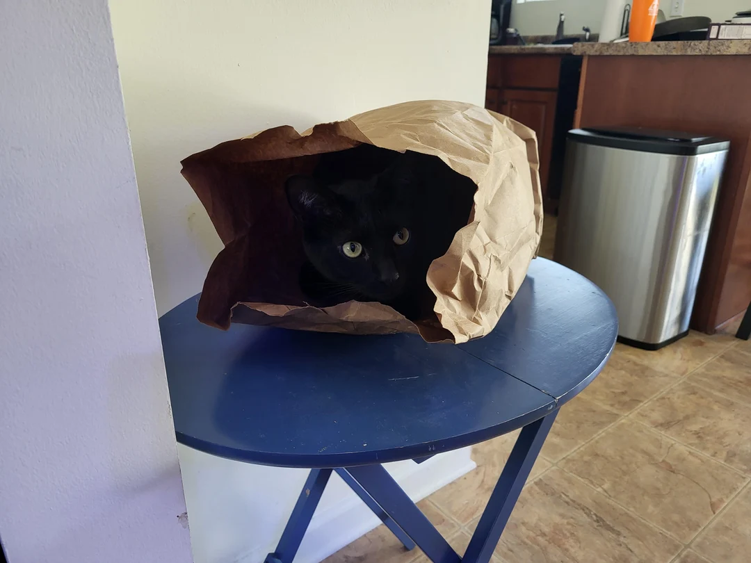 Perfect execution | Scrolller