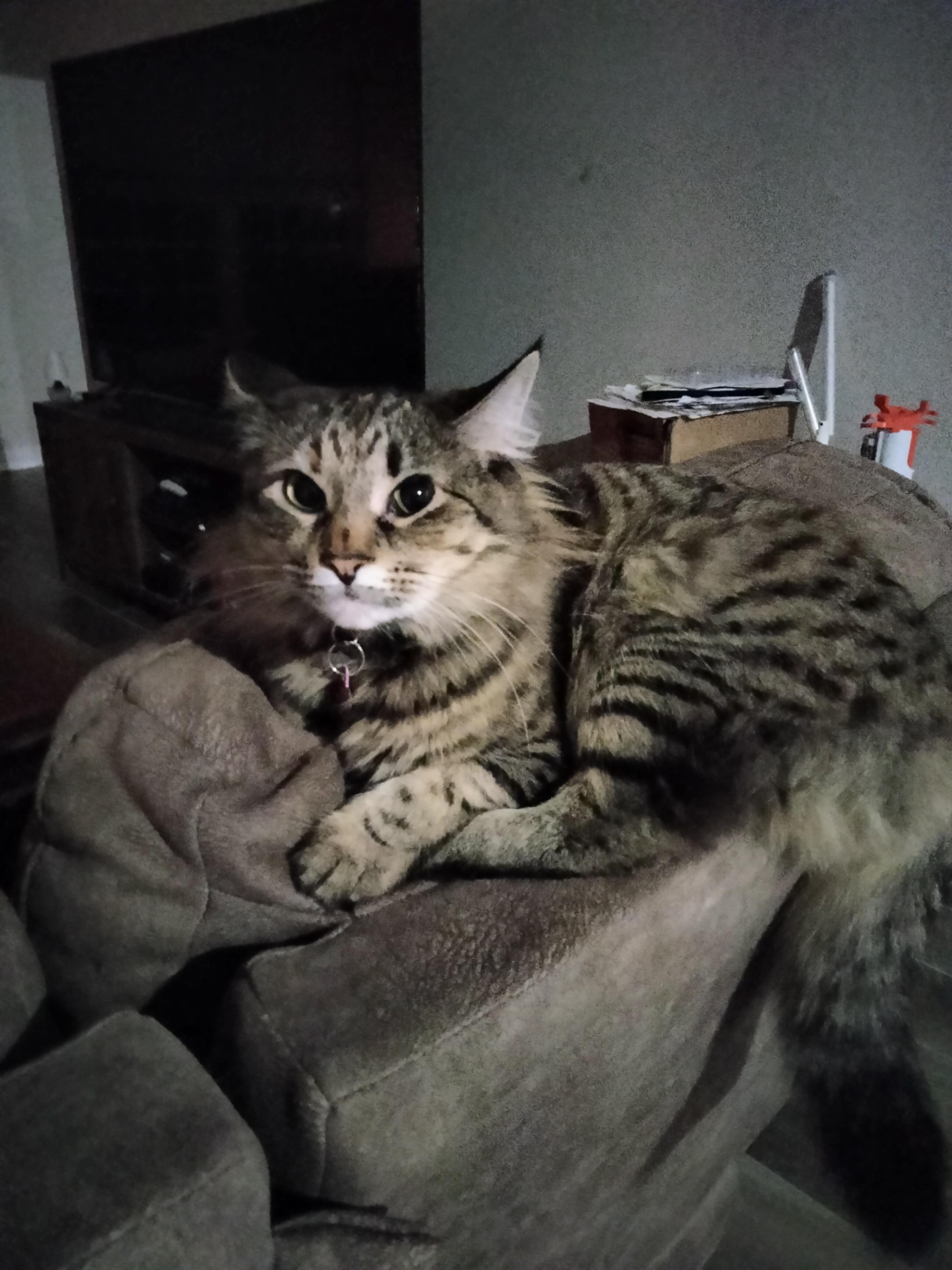 Little grump | Scrolller