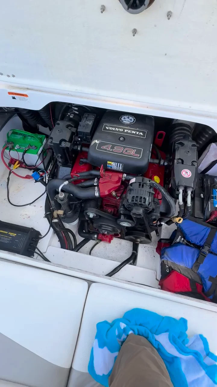 Whining Noise | Scrolller