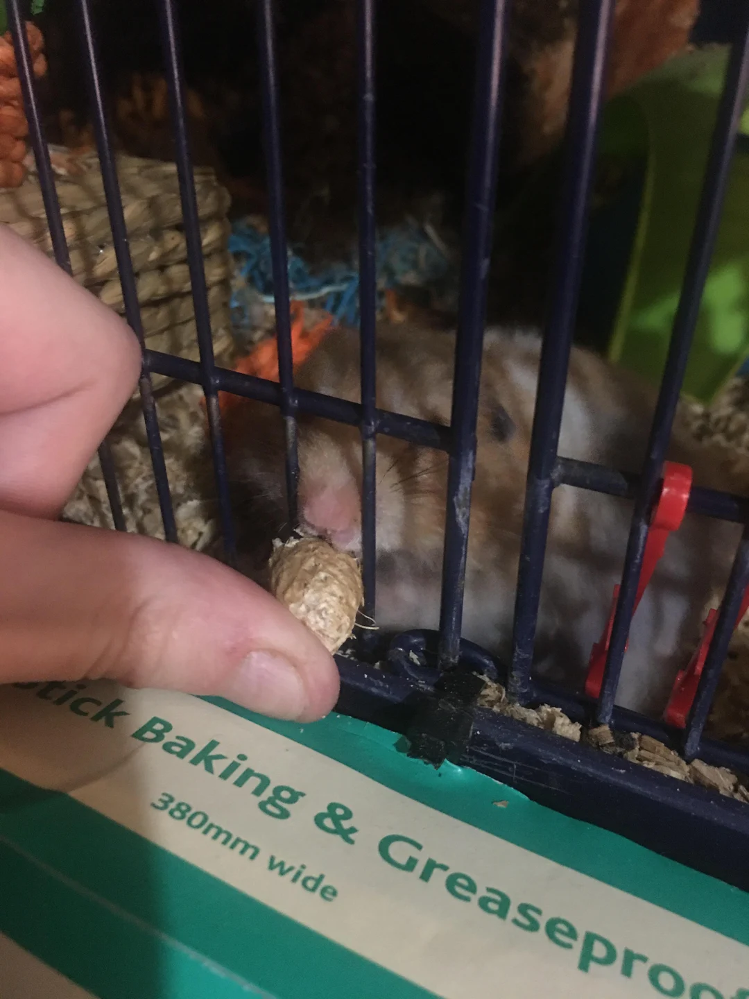 Memories | Scrolller