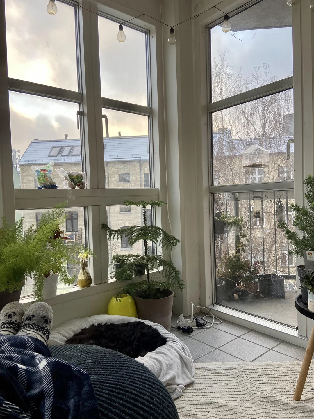 My sunroom in winter | Scrolller