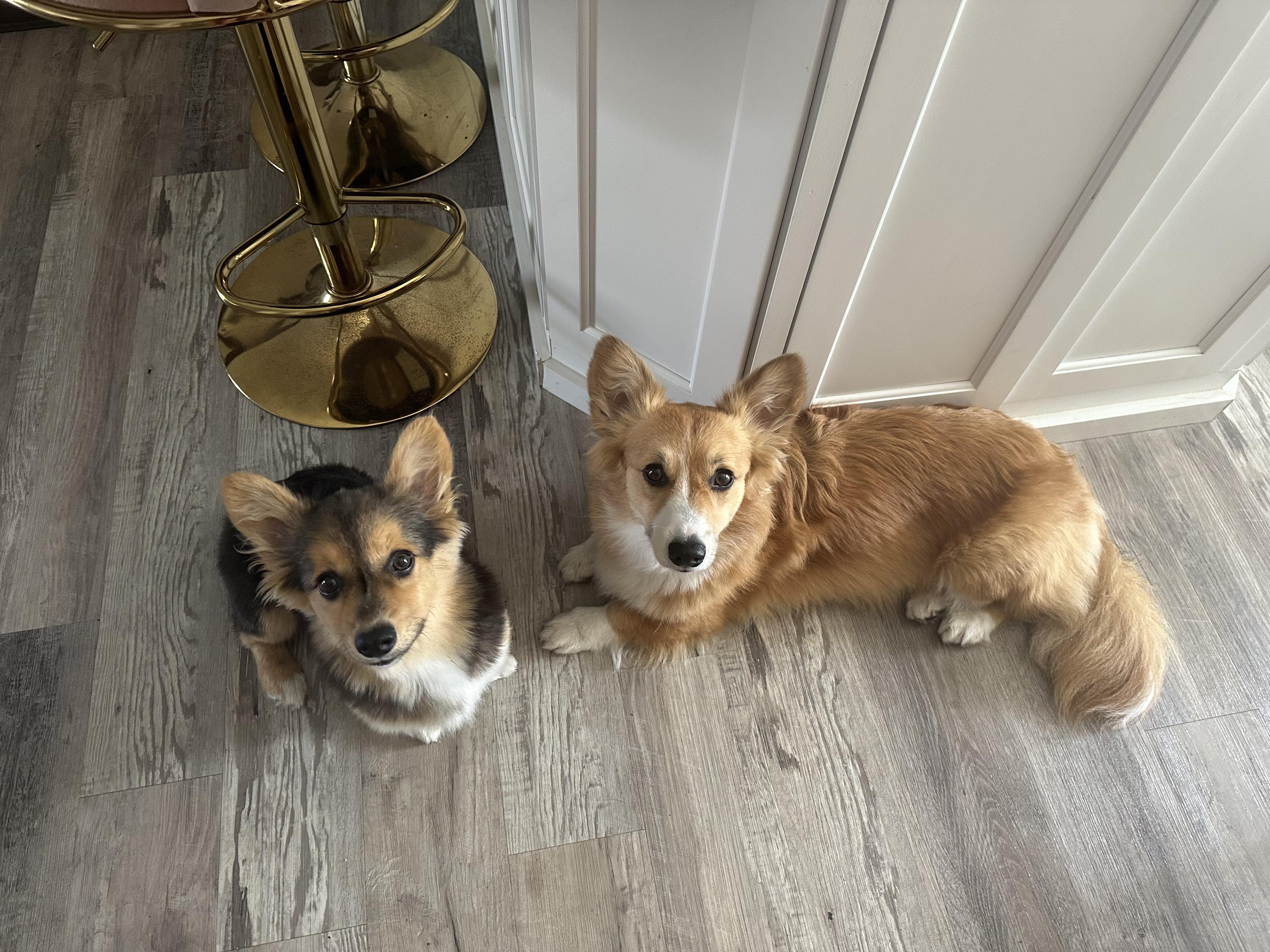 Show me your pairs! | Scrolller