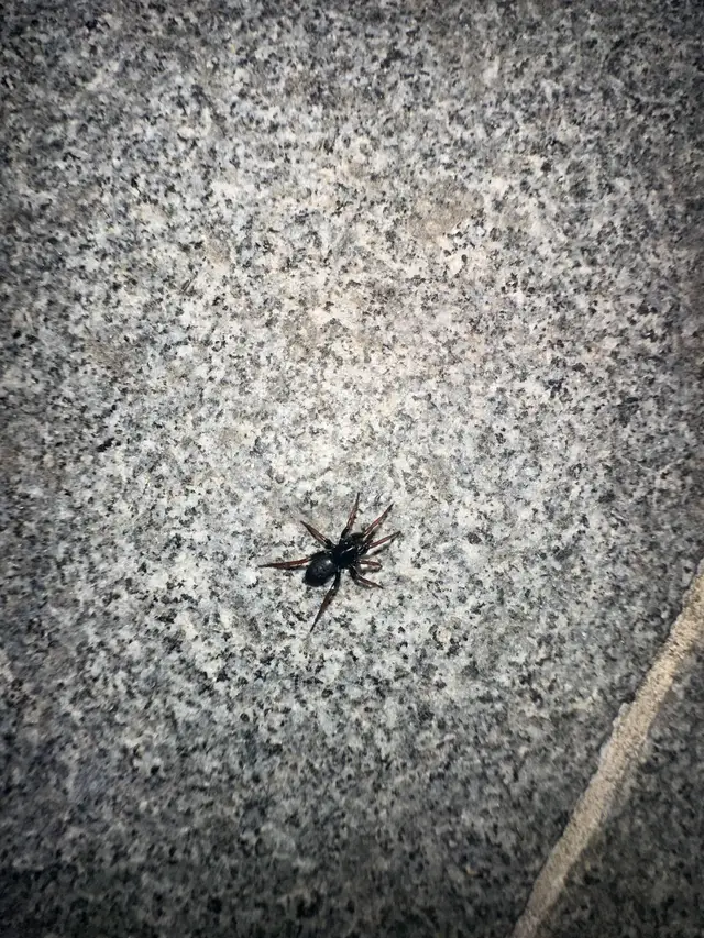 Does it bite? Harmless? | Scrolller