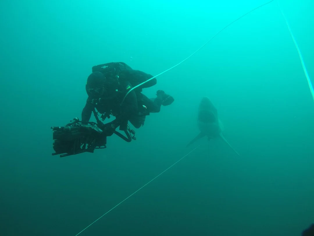 Hemmor Sea | Scrolller