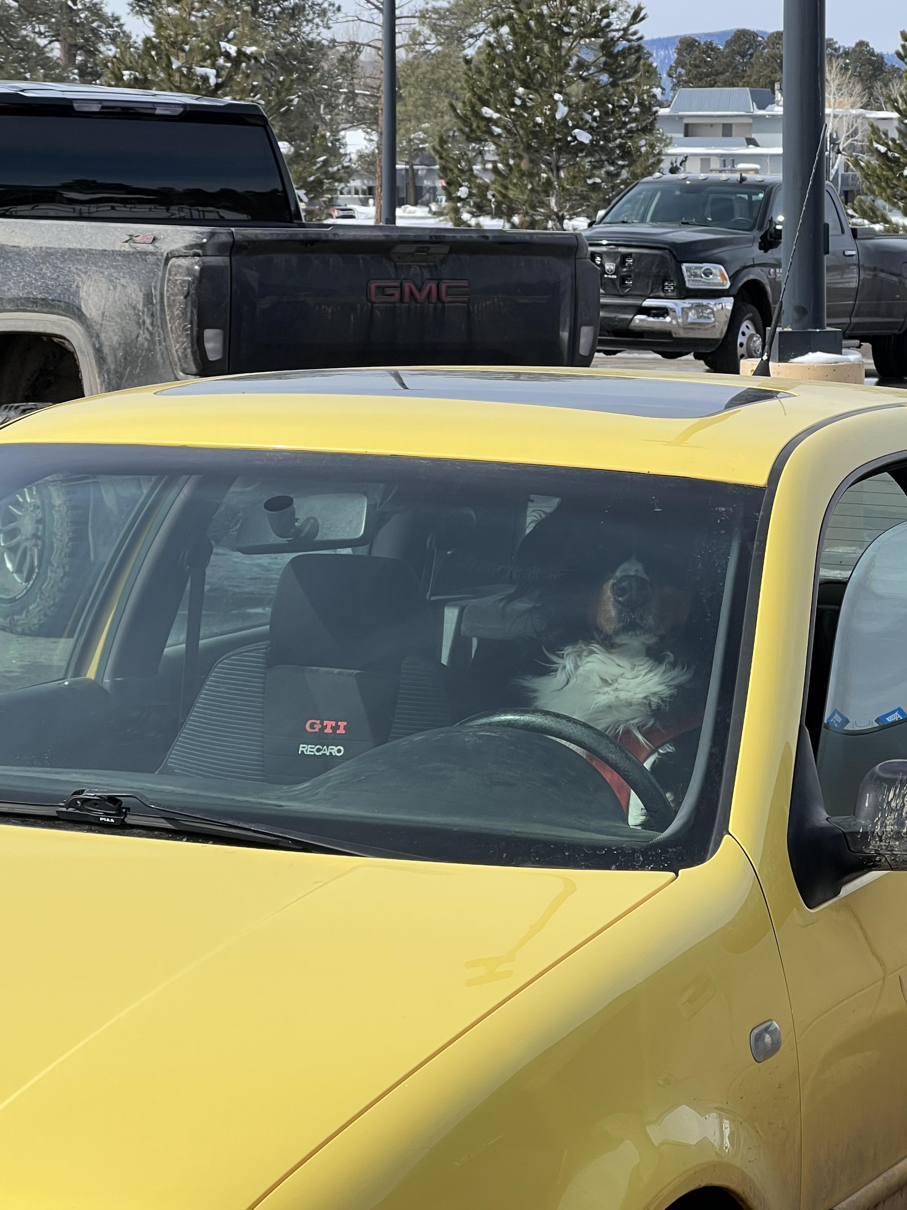 I had a super cute Uber driver today. (OC) | Scrolller