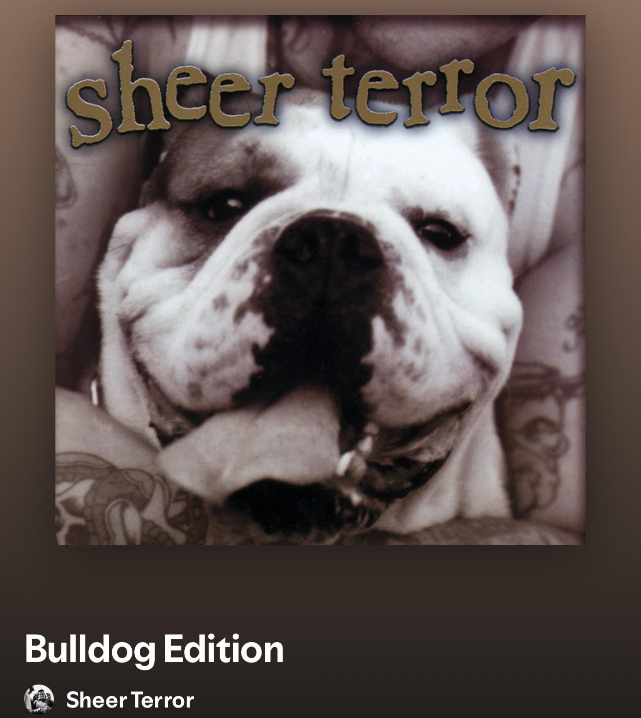 One of the best NYHC albums | Scrolller