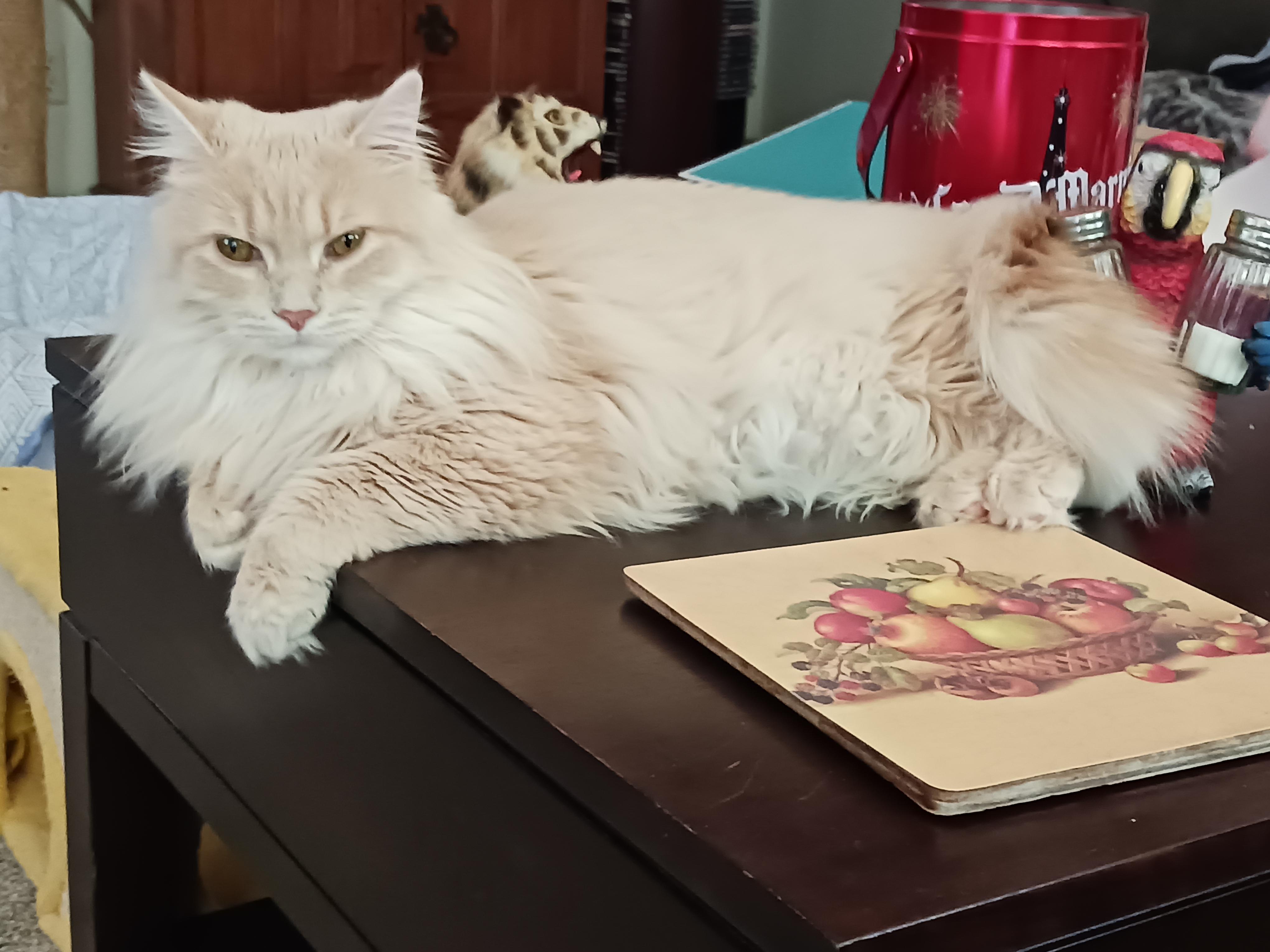 A seductive stare for the camera | Scrolller