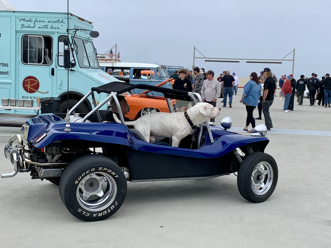 2016 Meyers Manx Buggy with a 2017 Dogo Argentino [4032x3024] | Scrolller