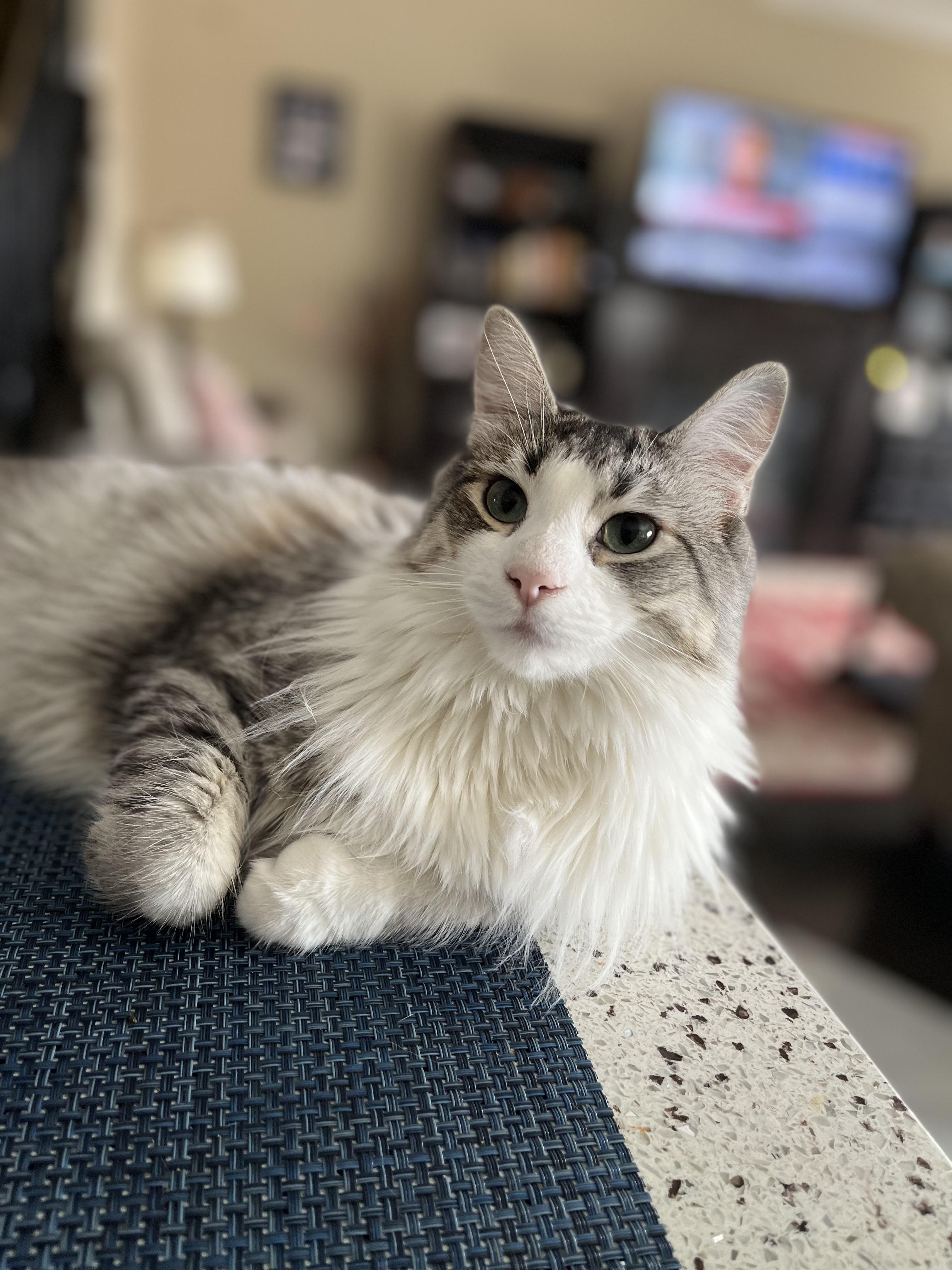 Shanthi just chilling | Scrolller