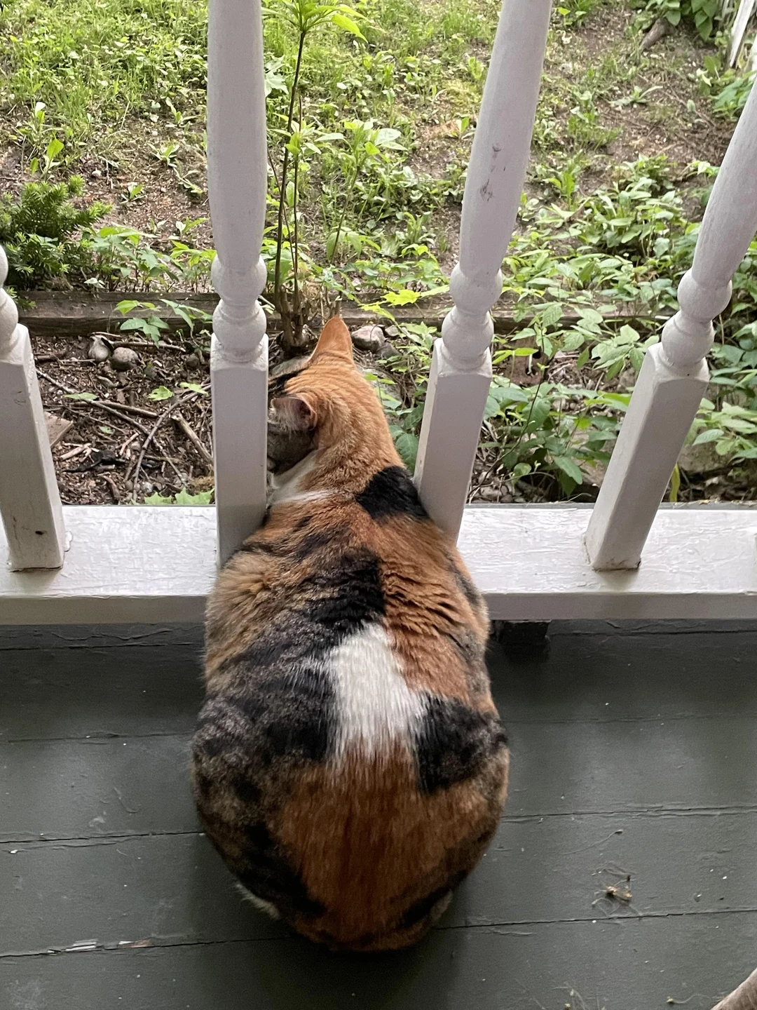 Bird-watchin’ loaf 🍞 | Scrolller