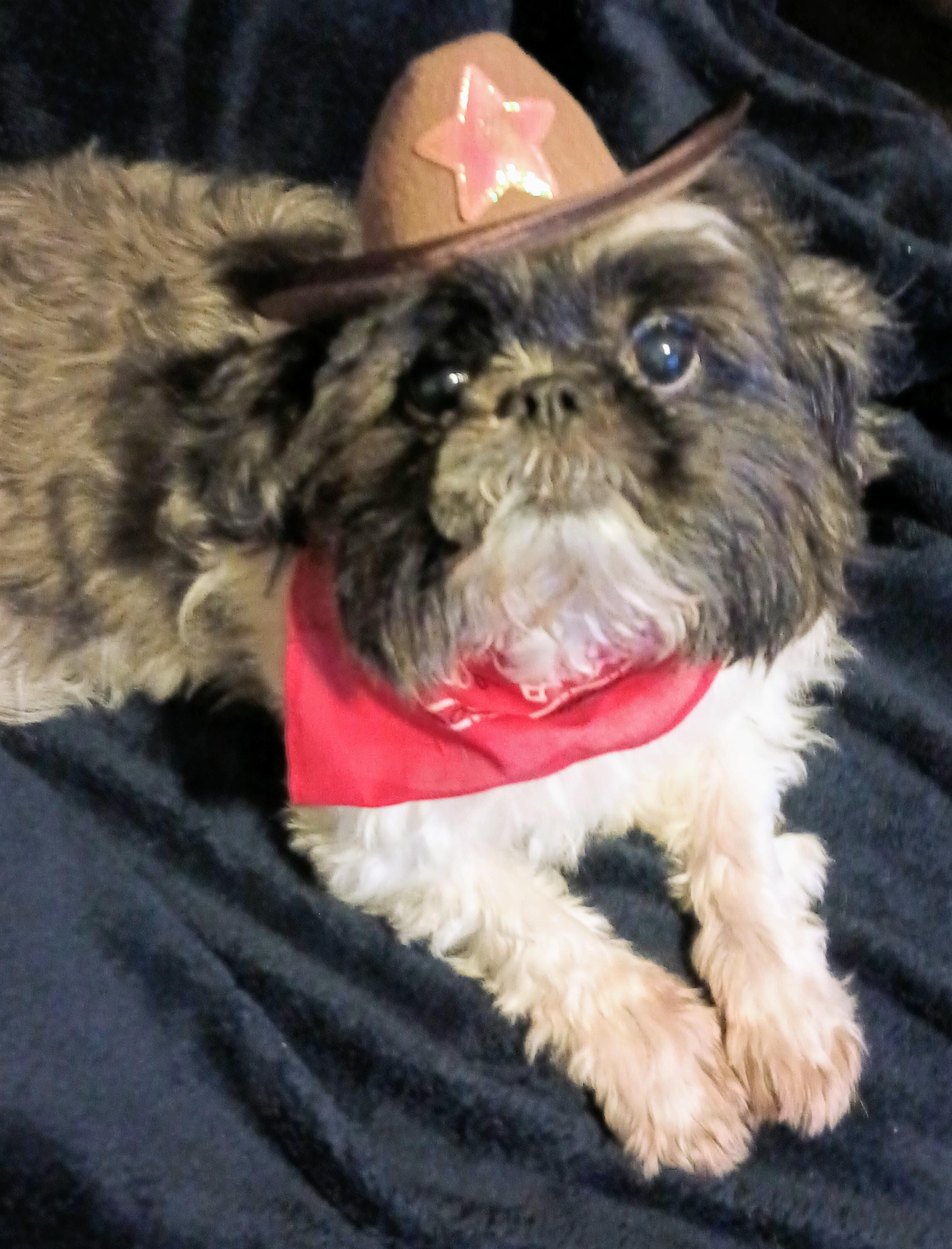 Howdy partners 🤠 | Scrolller