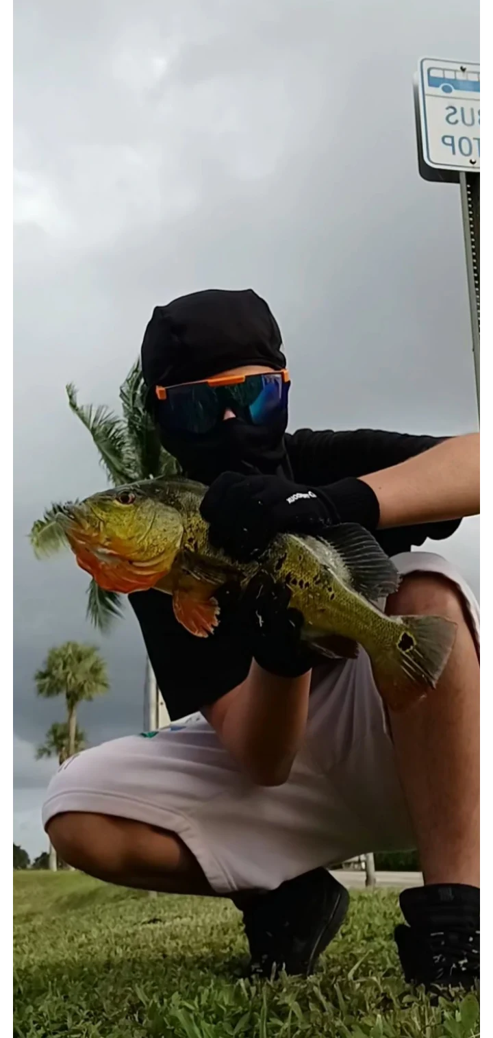 Todays singular catch | Scrolller