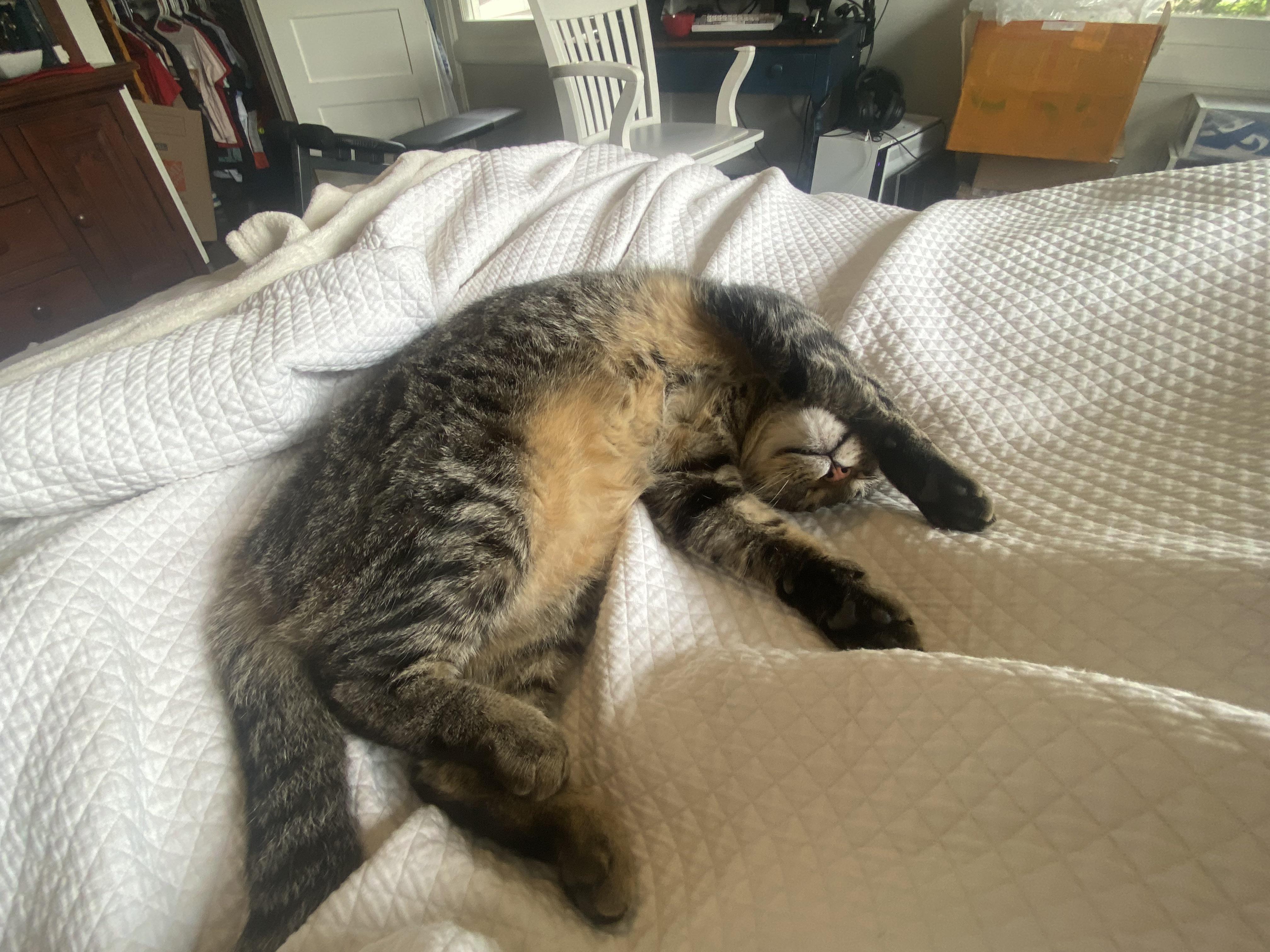 The missile is eepy | Scrolller