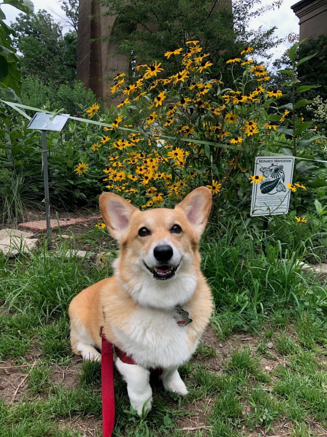 One of Mookie's favorite spots | Scrolller