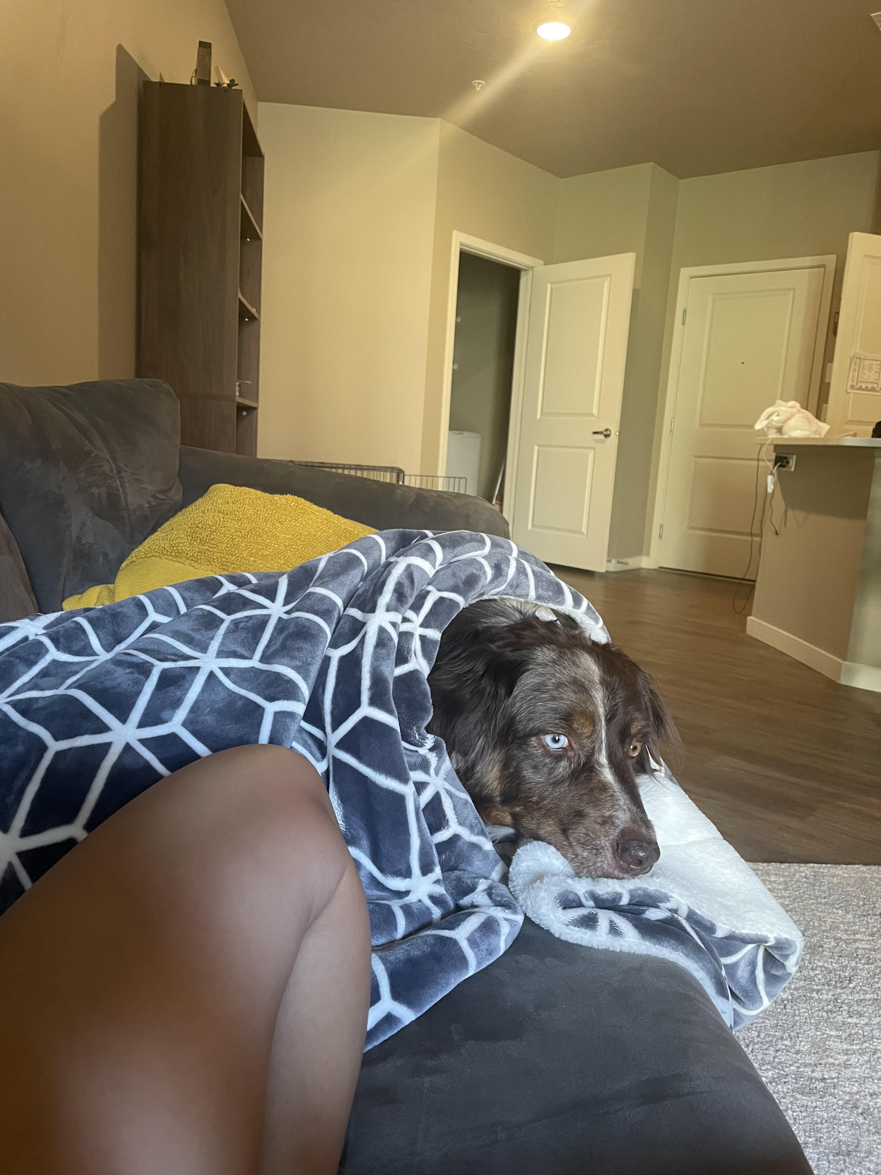 Tucked in Tucker | Scrolller