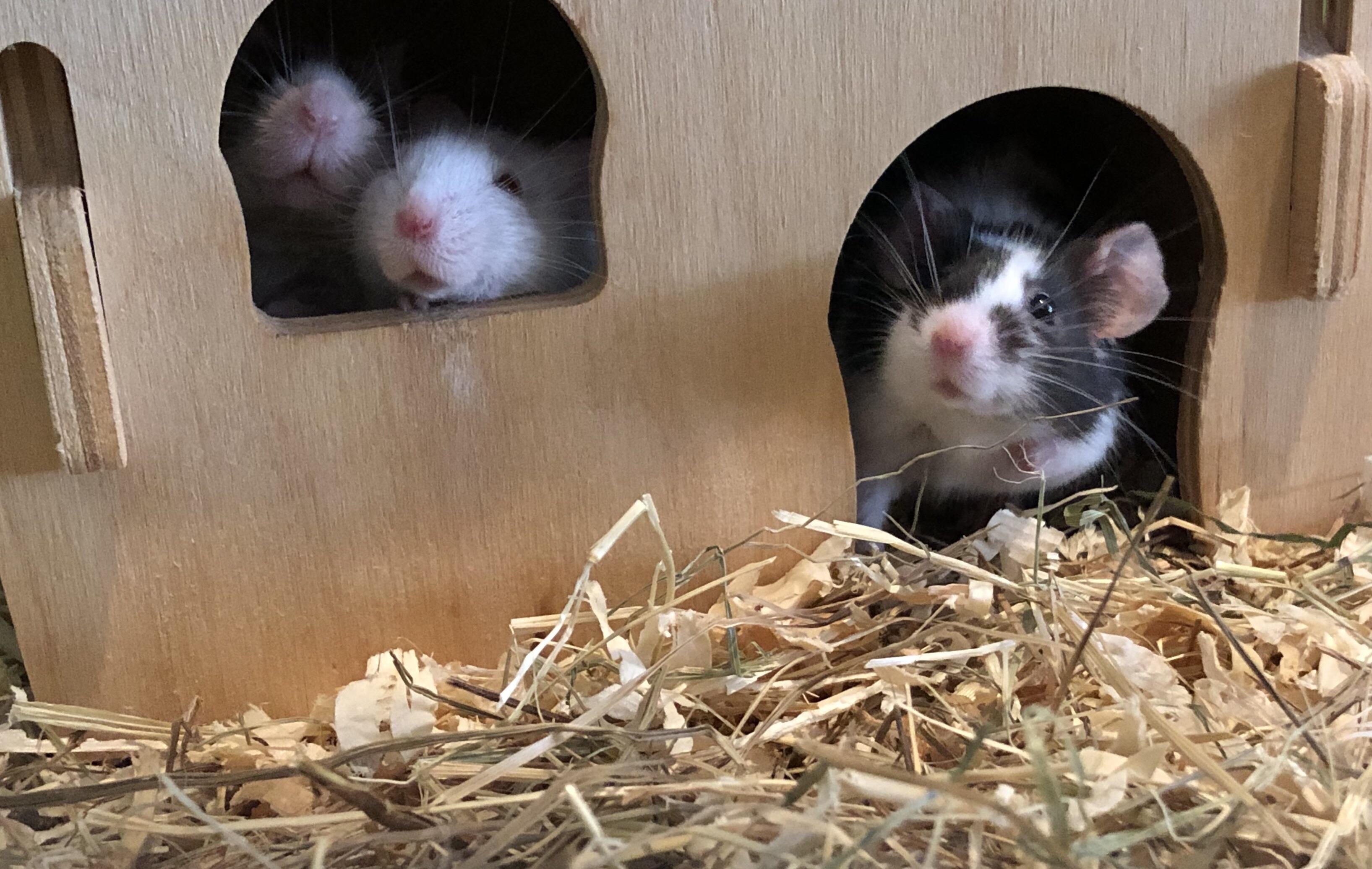 embodied curiosity | Scrolller