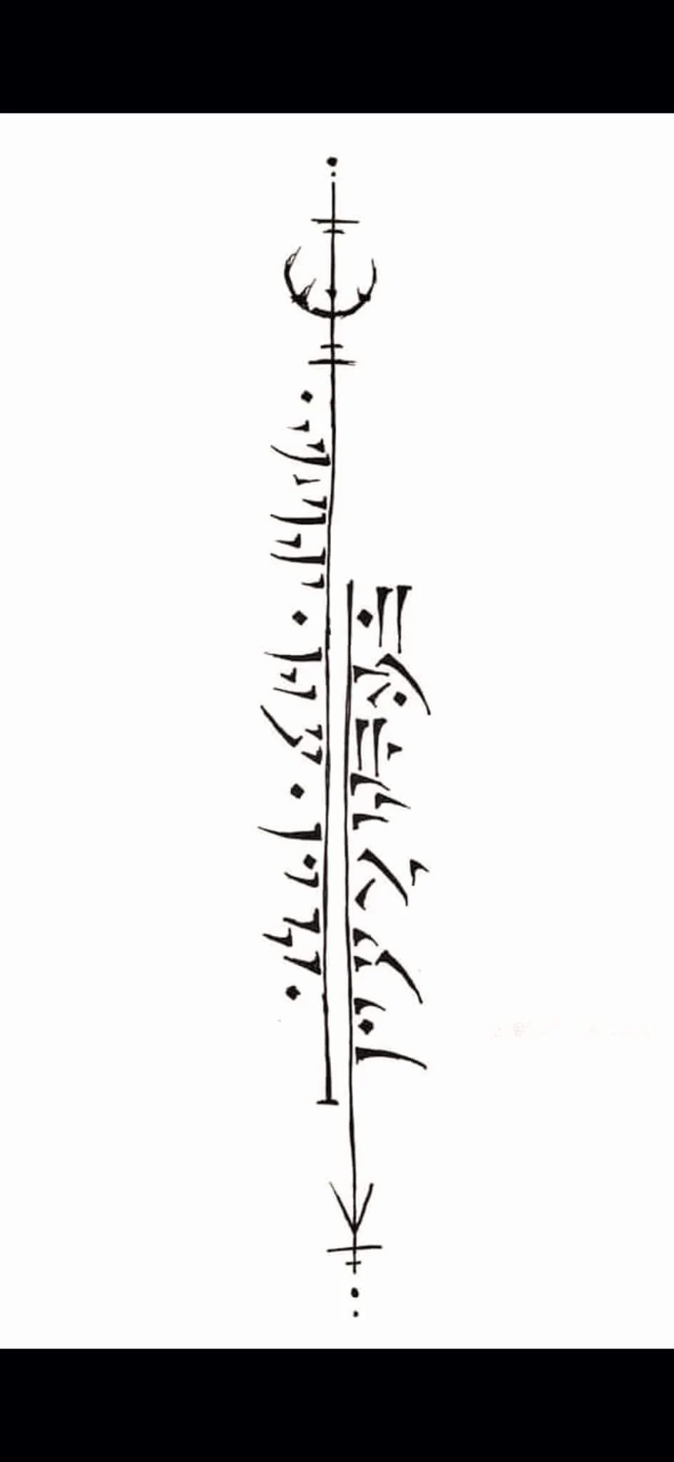 Translate for me please | Scrolller