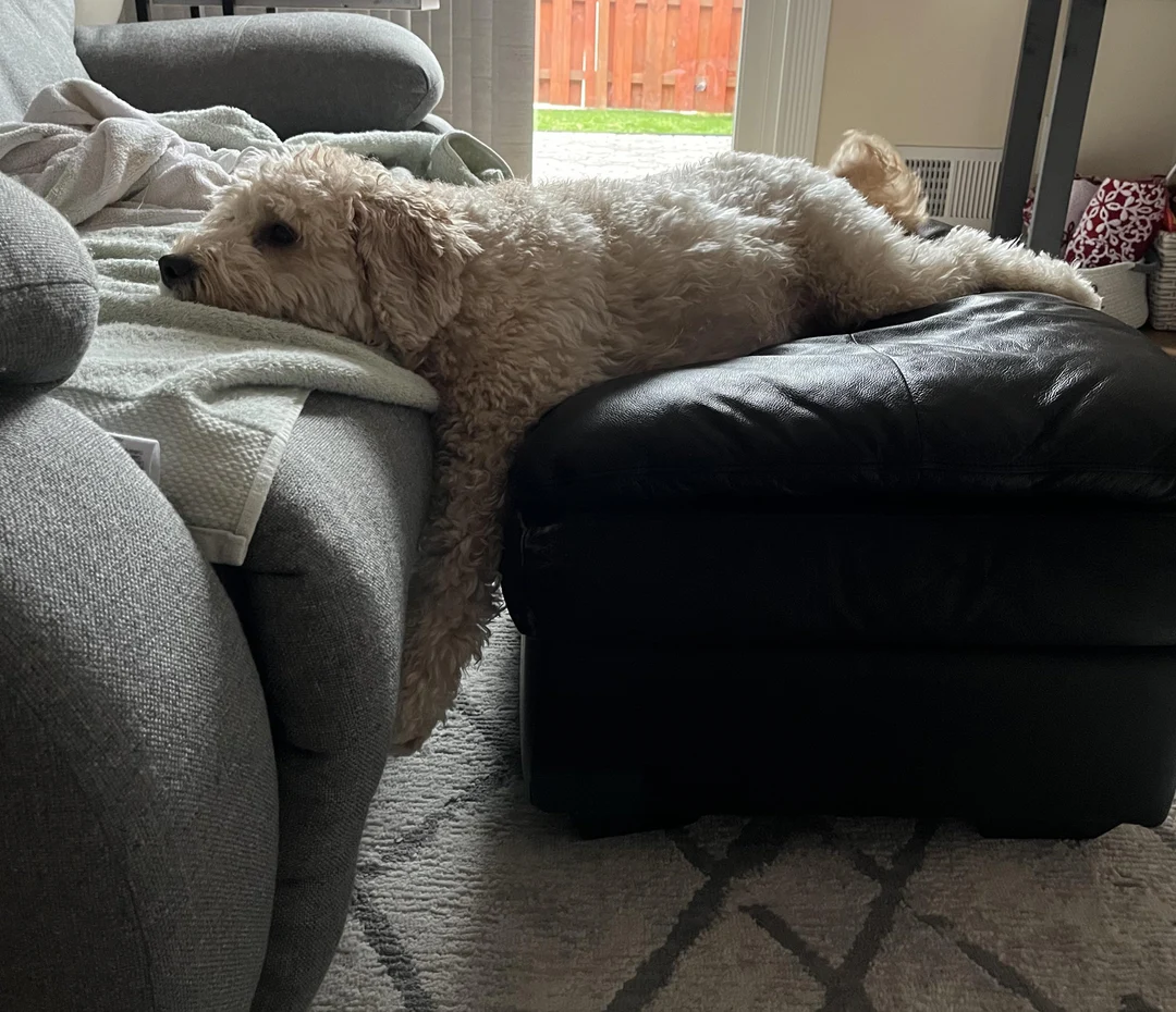 She’s either very comfortable or she dropped her keys. | Scrolller