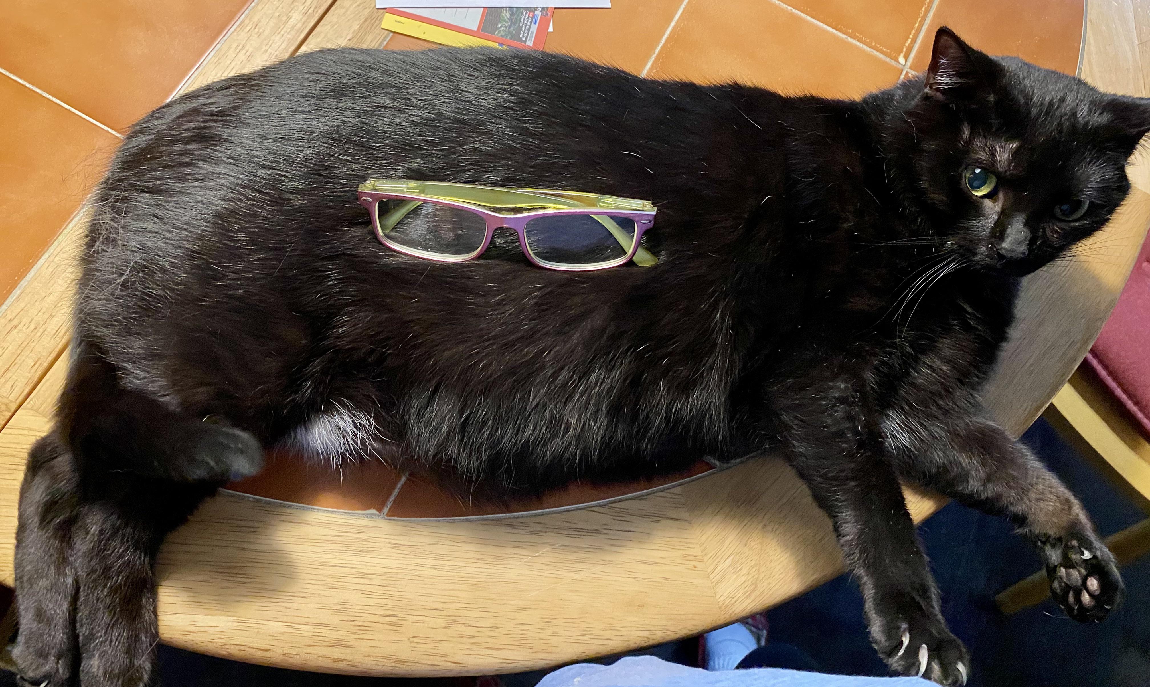 Glasses for scale. | Scrolller