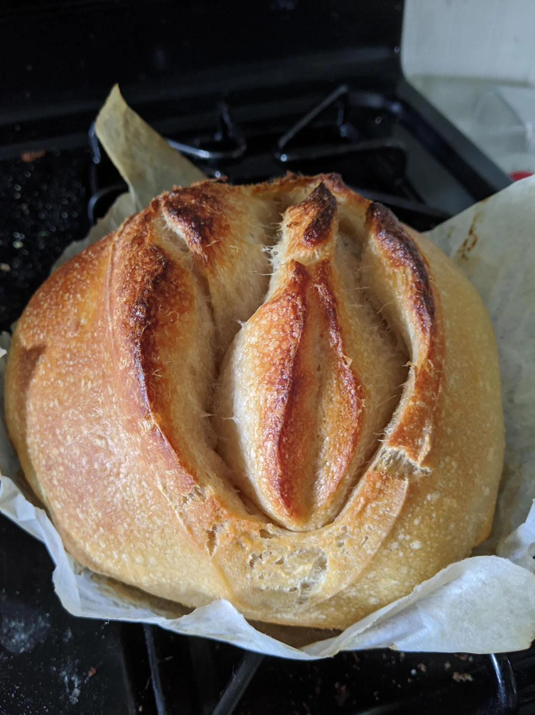 I thought people might enjoy this sourdough bread I made 😅 | Scrolller