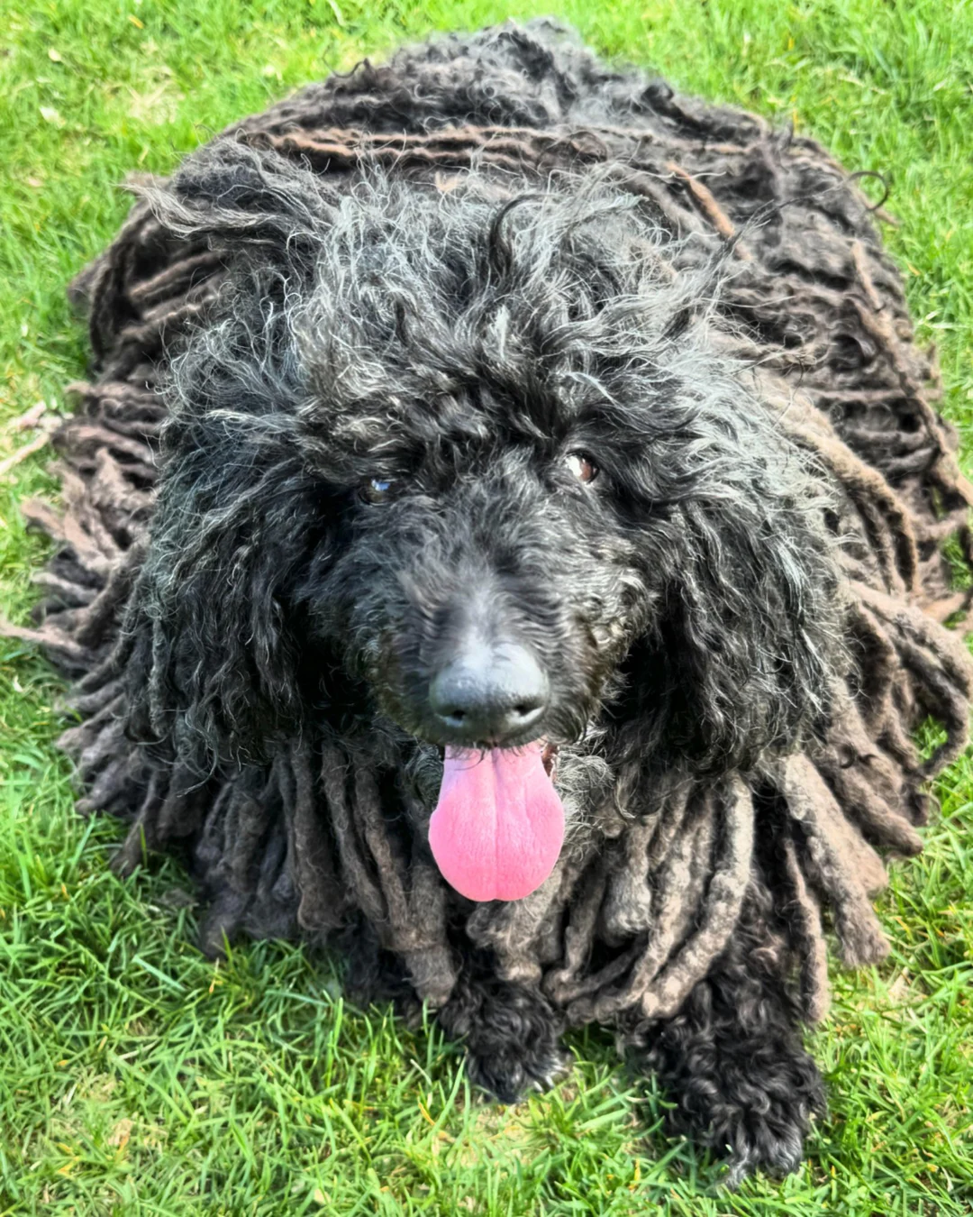 11 years young | Scrolller