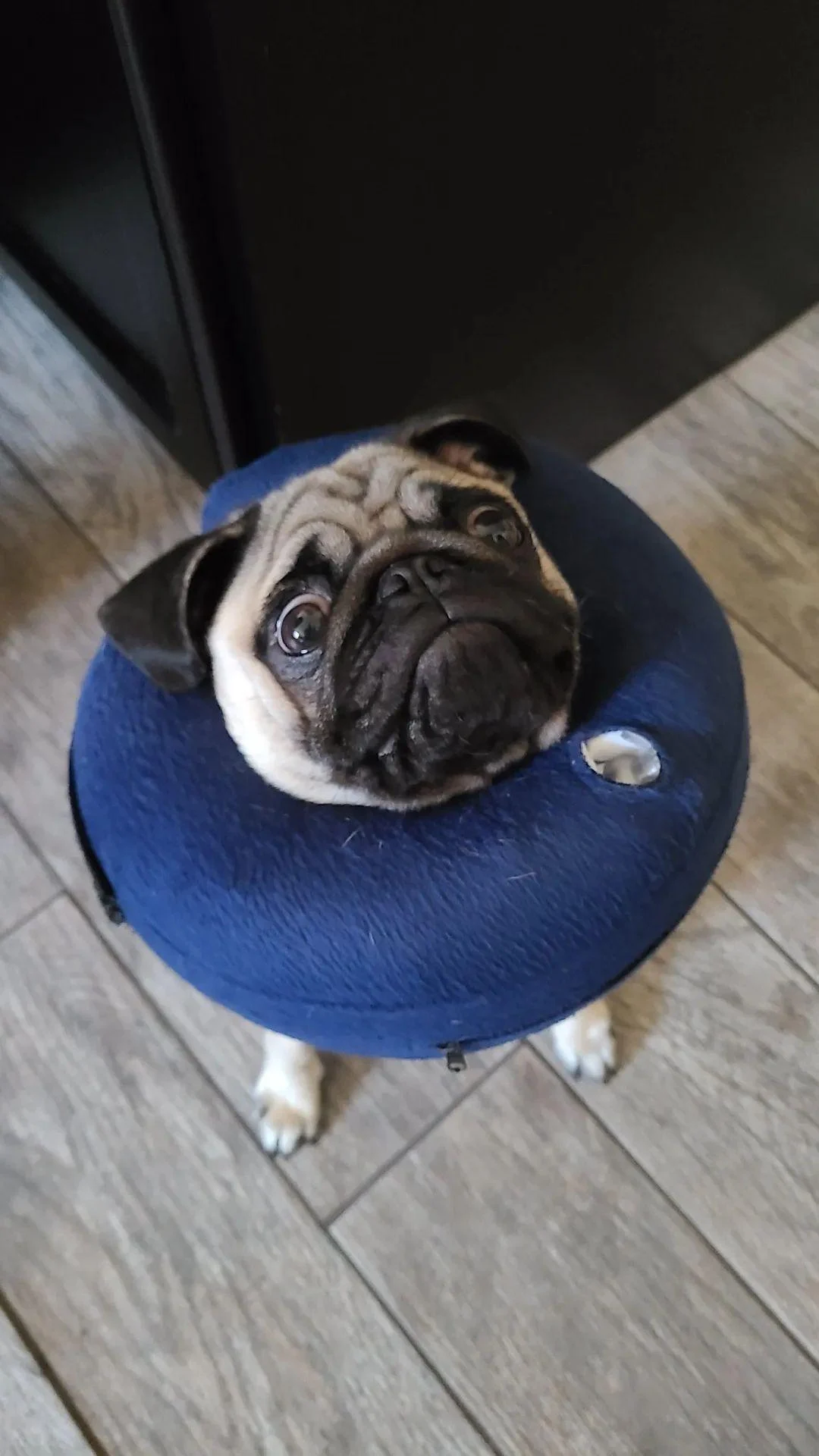 Donut time | Scrolller