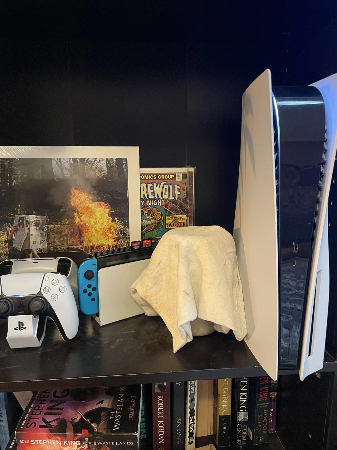 Anyone else put their starter near their husbands PlayStation? | Scrolller