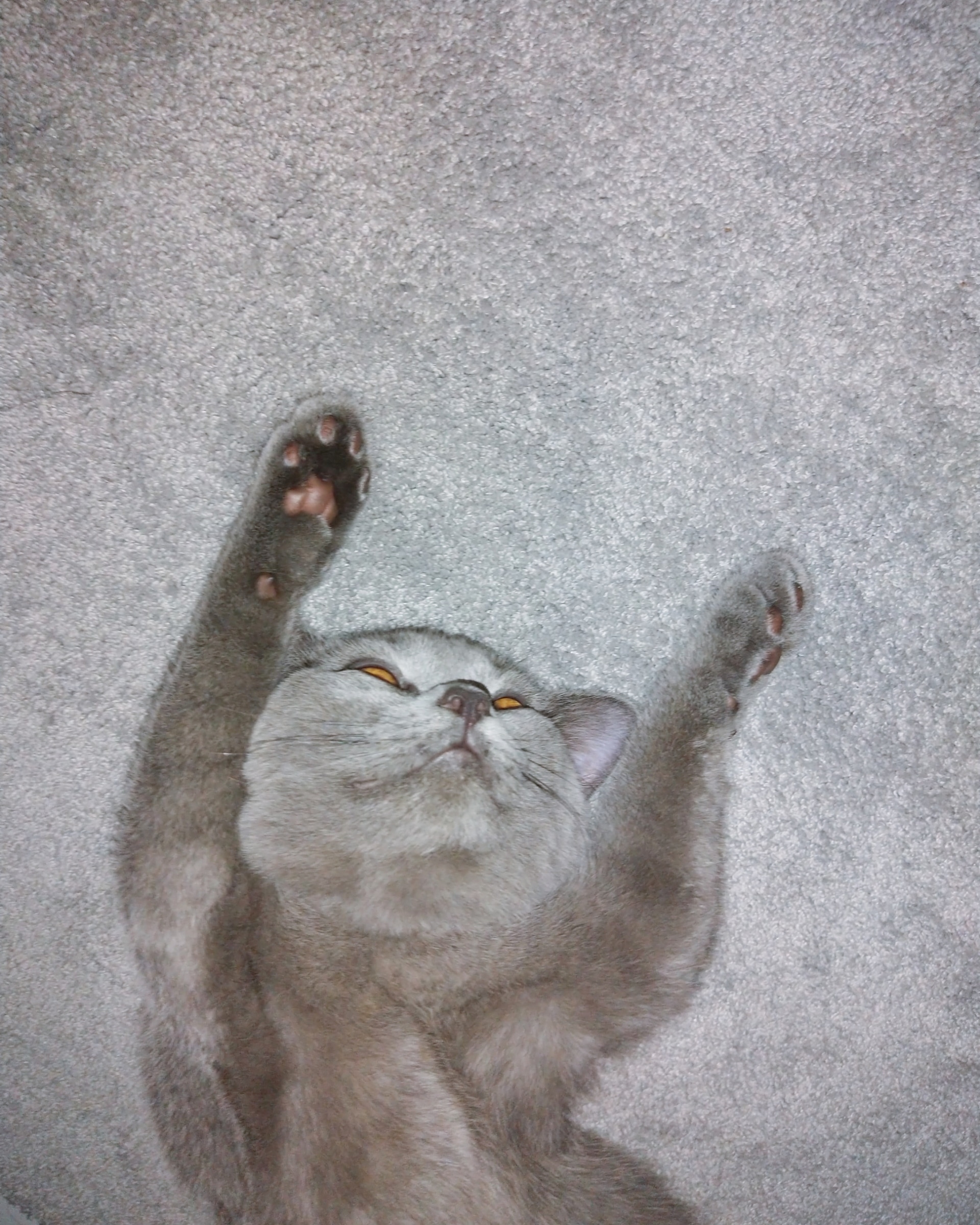 soooo tired doing nothing | Scrolller