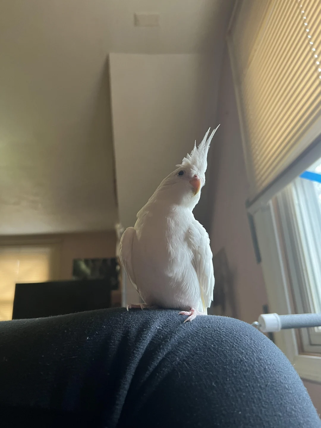 Strike a pose 🕺 | Scrolller