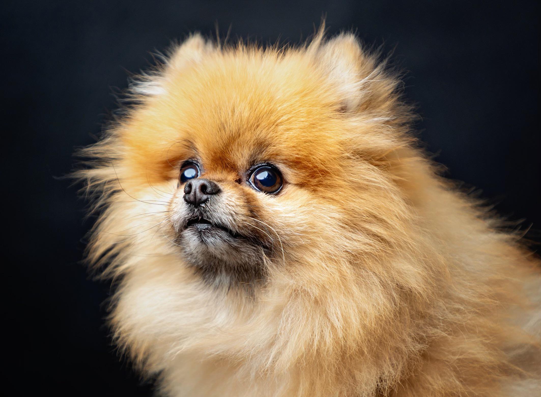 Got pics taken. Do not regret. | Scrolller