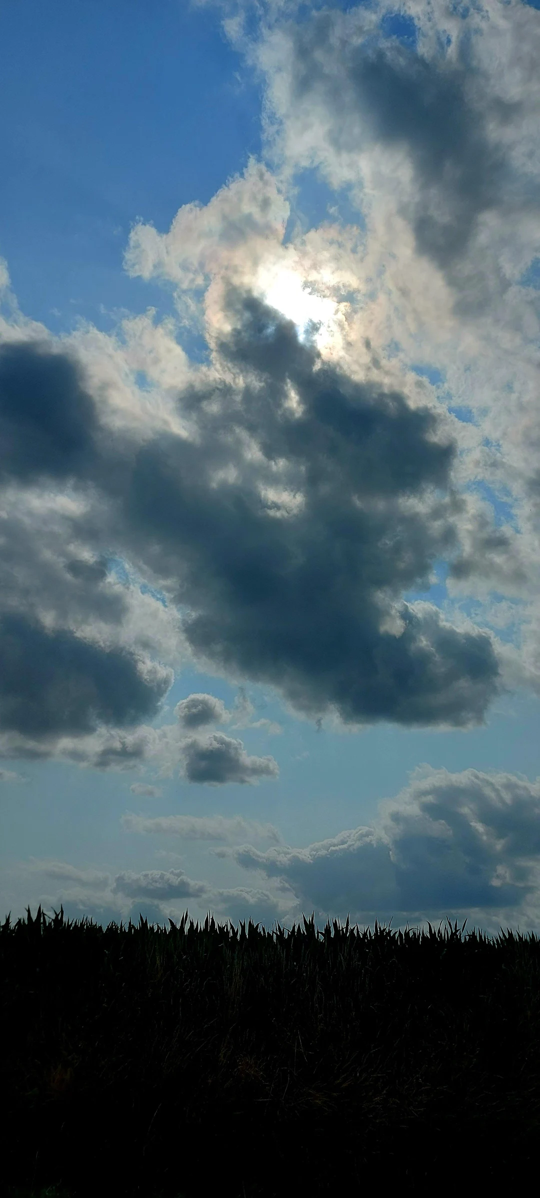 Dark clouds gathering | Scrolller