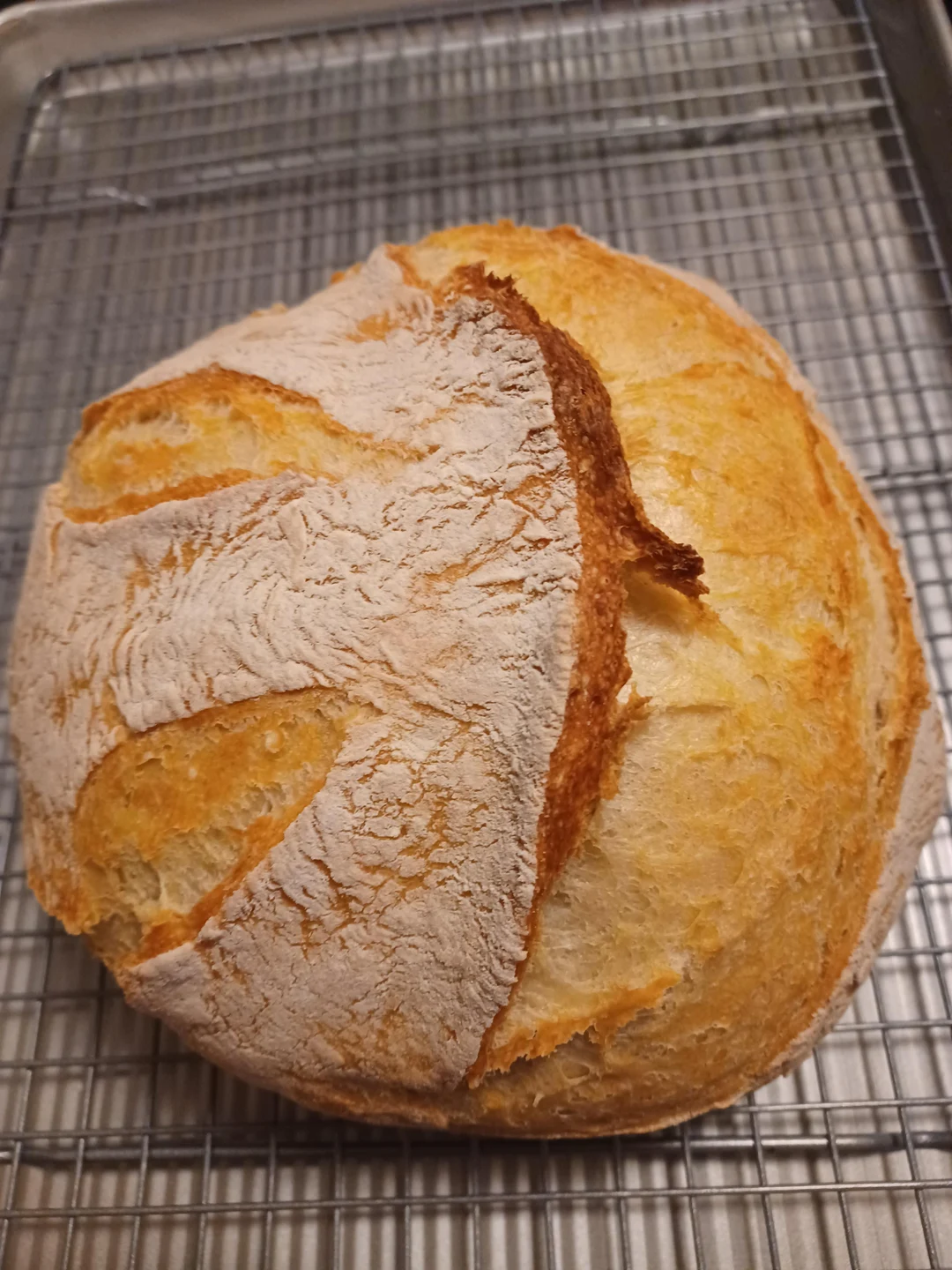 My first loaf ever? | Scrolller