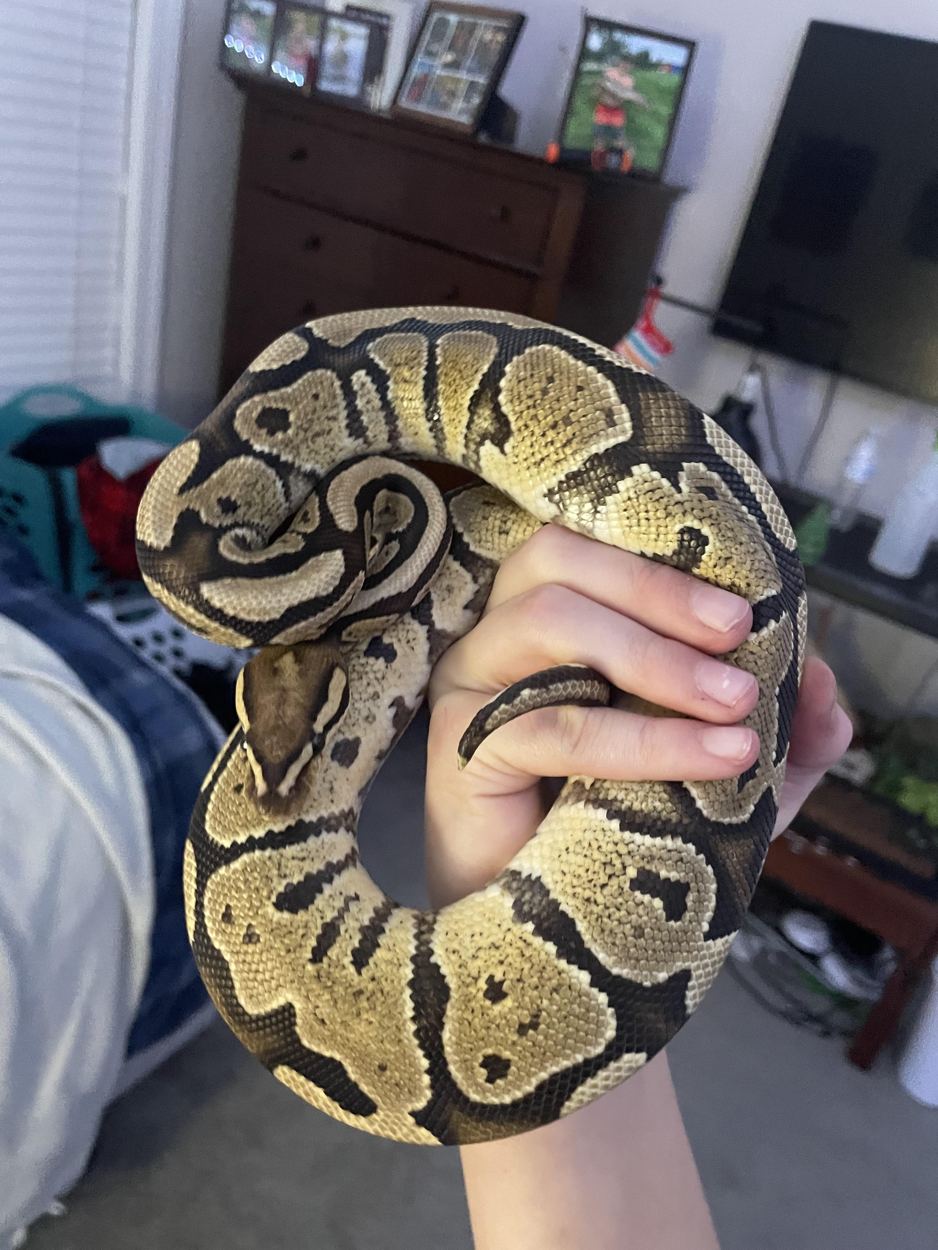 This is Ruby | Scrolller