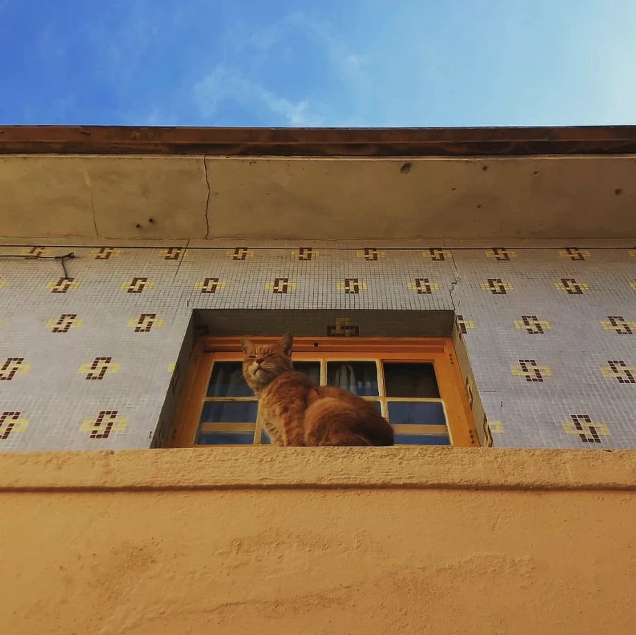 Life on the edge! | Scrolller