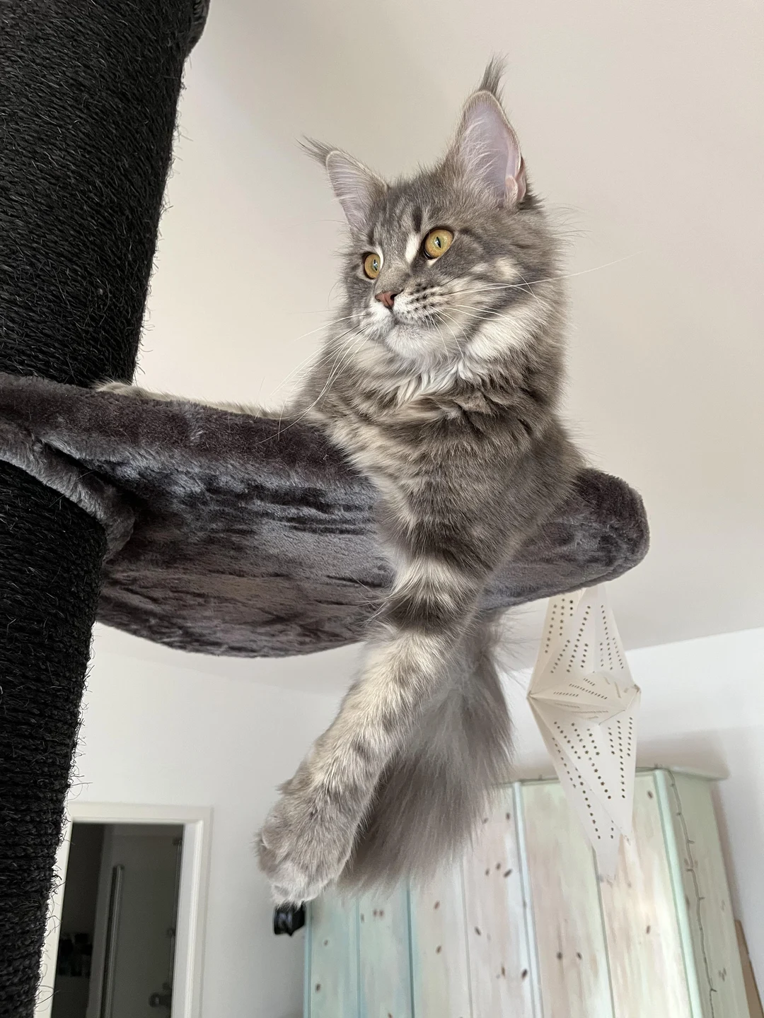 Our magnificent Ori | Scrolller