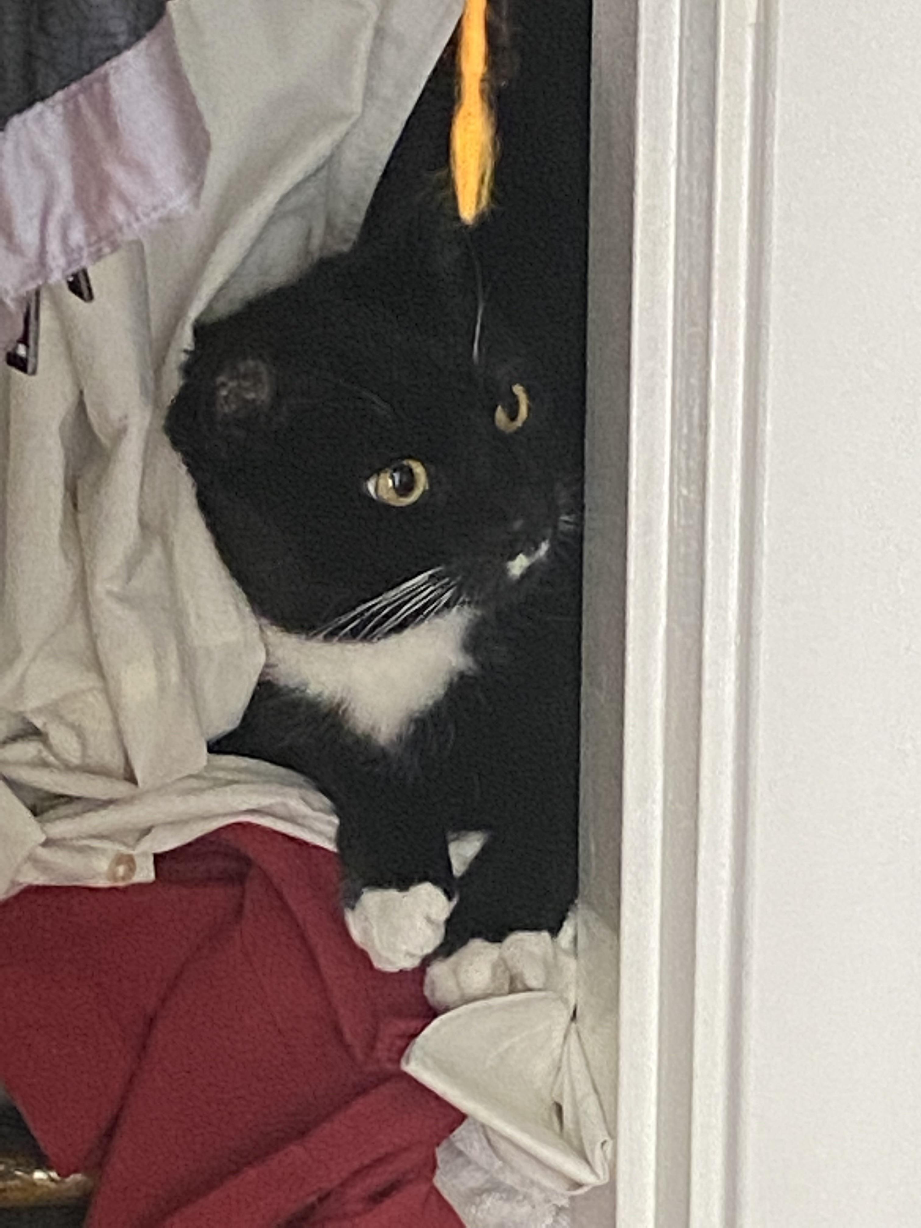 Casual in the drying closet | Scrolller