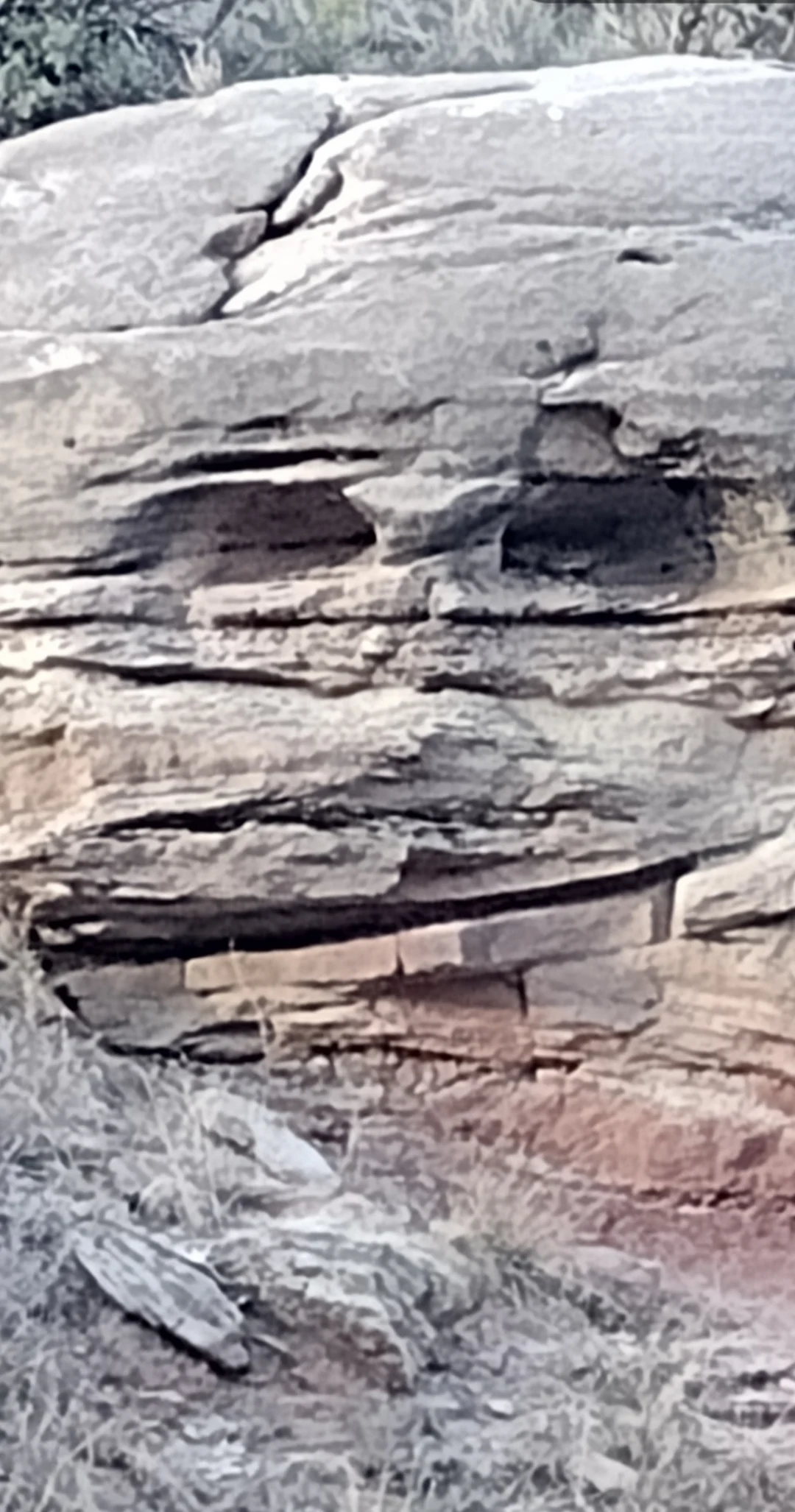 Face in canyon rock | Scrolller