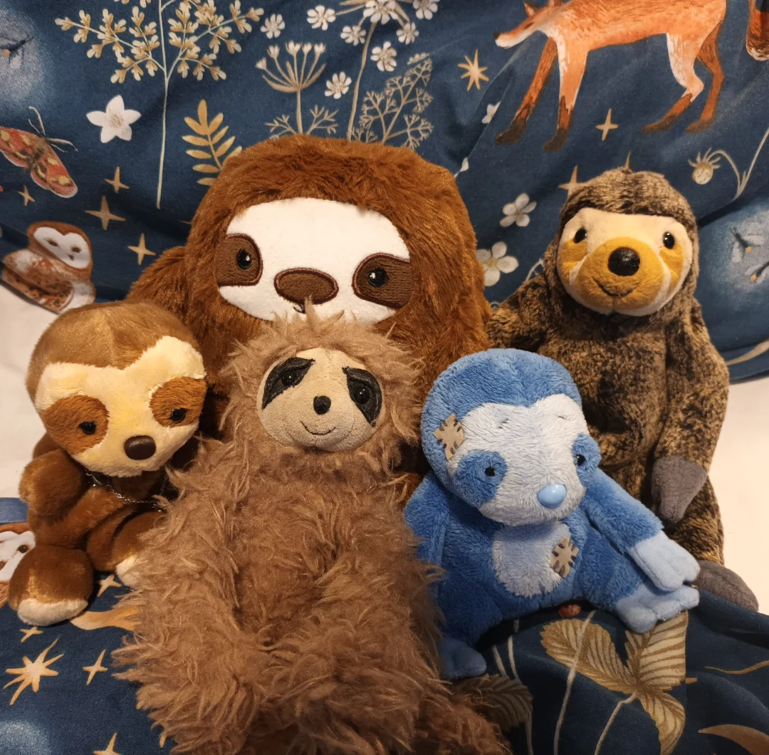 Show me your sloth plushies! | Scrolller