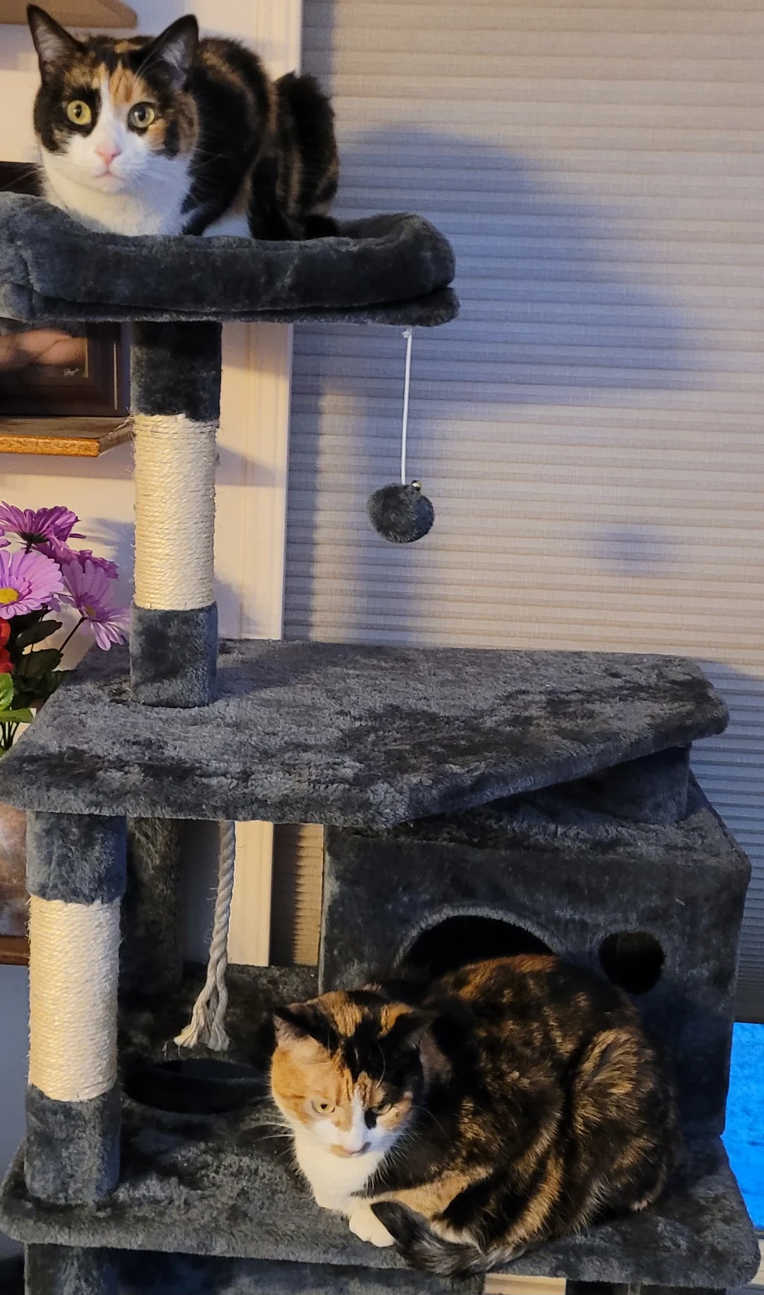 Double Loaf | Scrolller