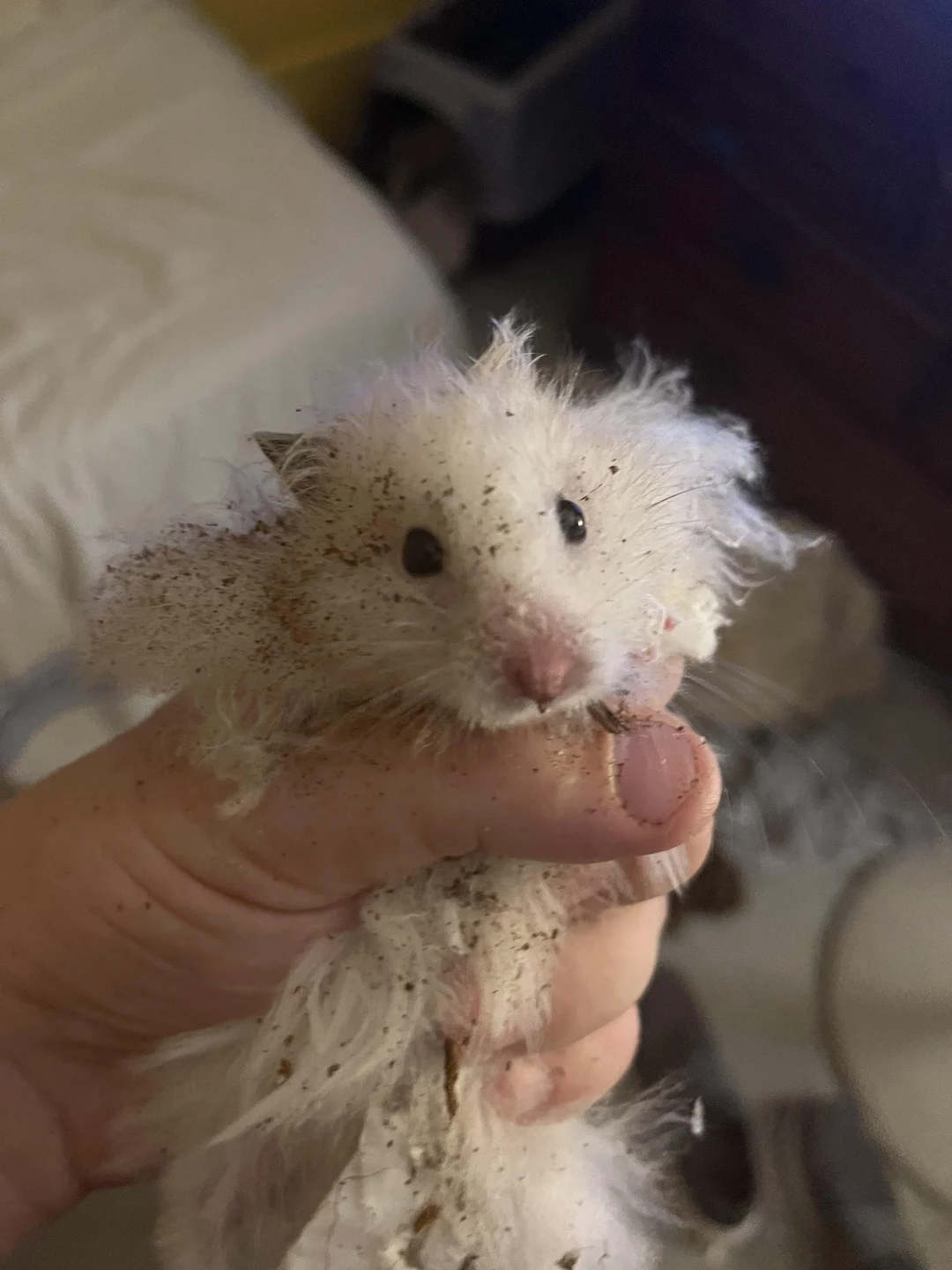 The dirt man | Scrolller