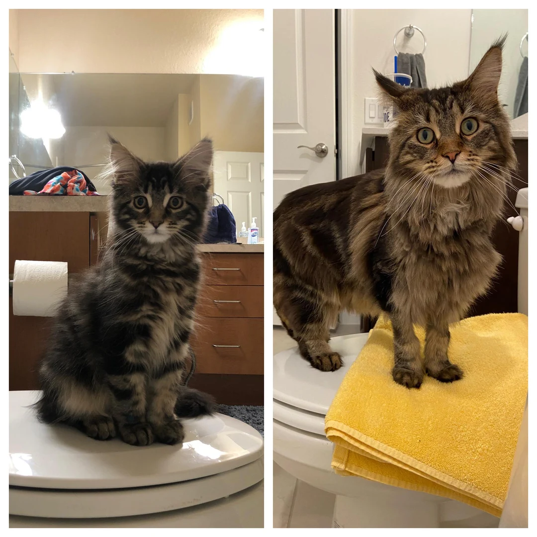 Some things never change | Scrolller