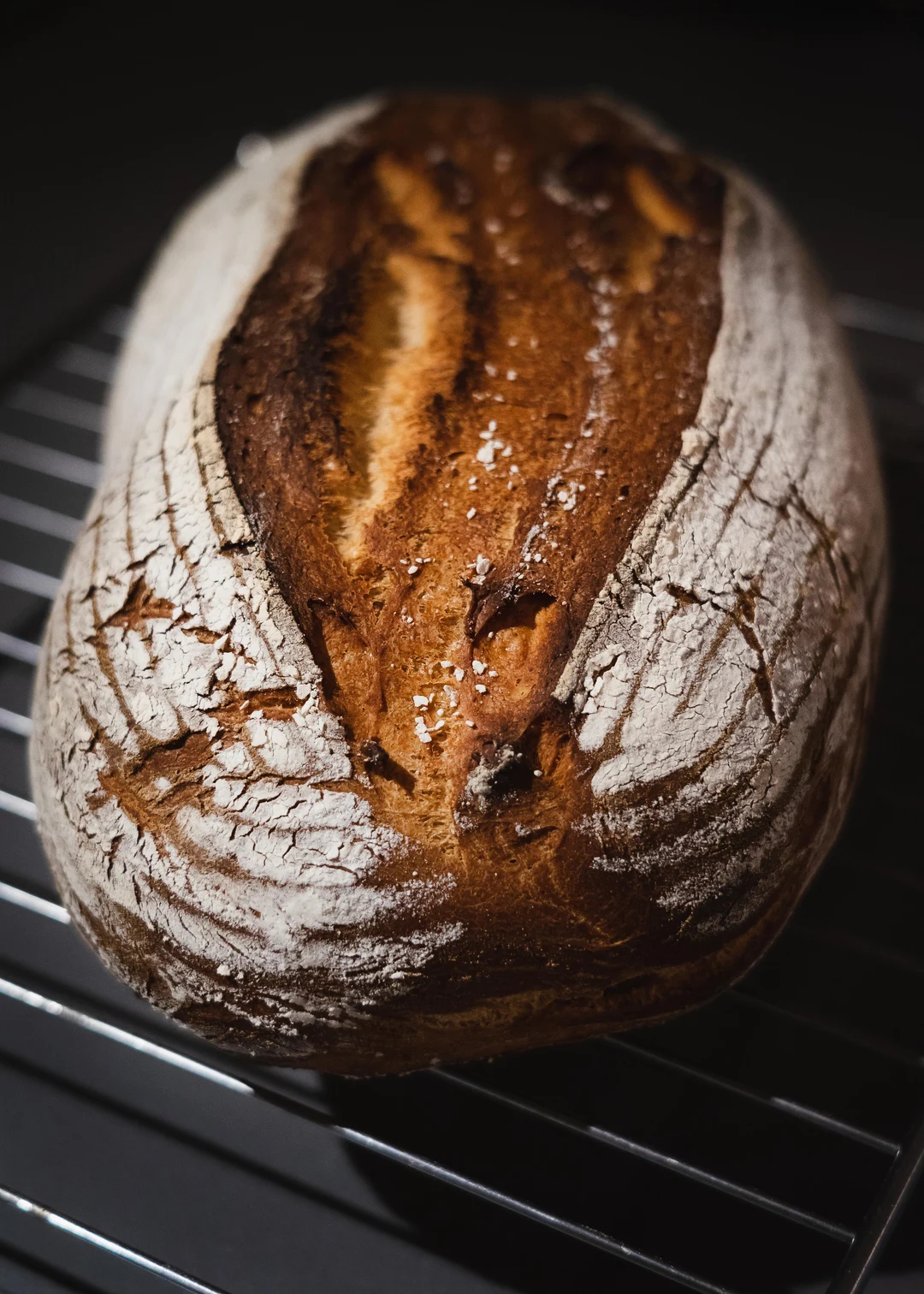 Wheat and rye mixed bread | Scrolller