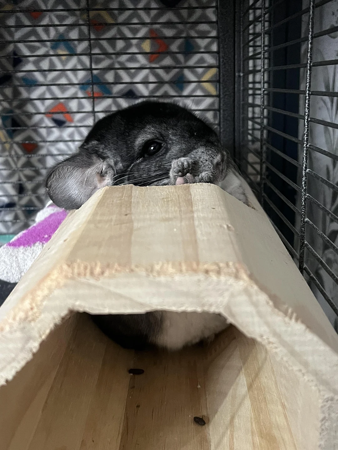 Can someone explain how she’s comfortable with her little feetsies like that 😂 | Scrolller